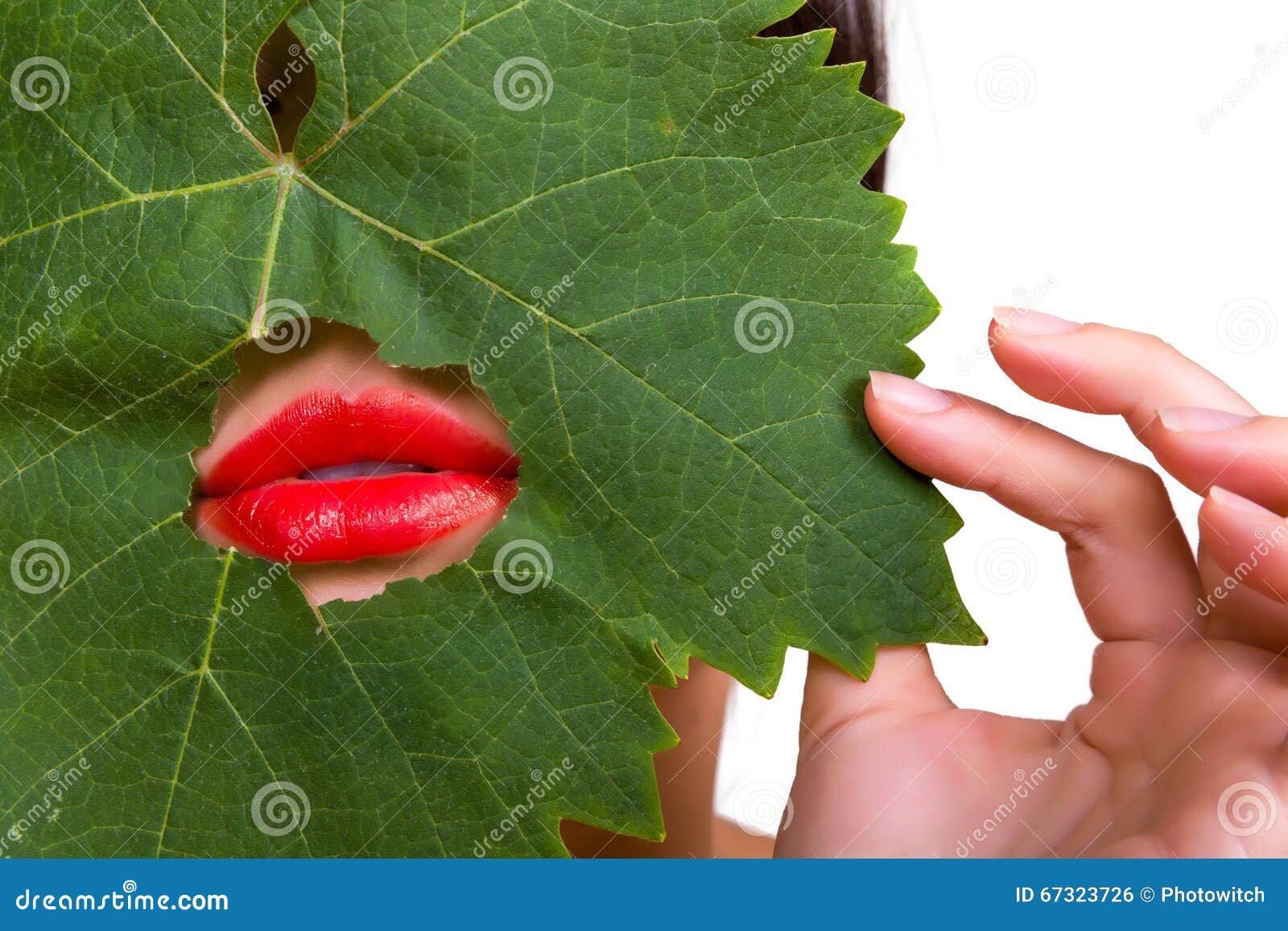 Lips in green leaf stock photo. Image of woman, isolated - 67323726
