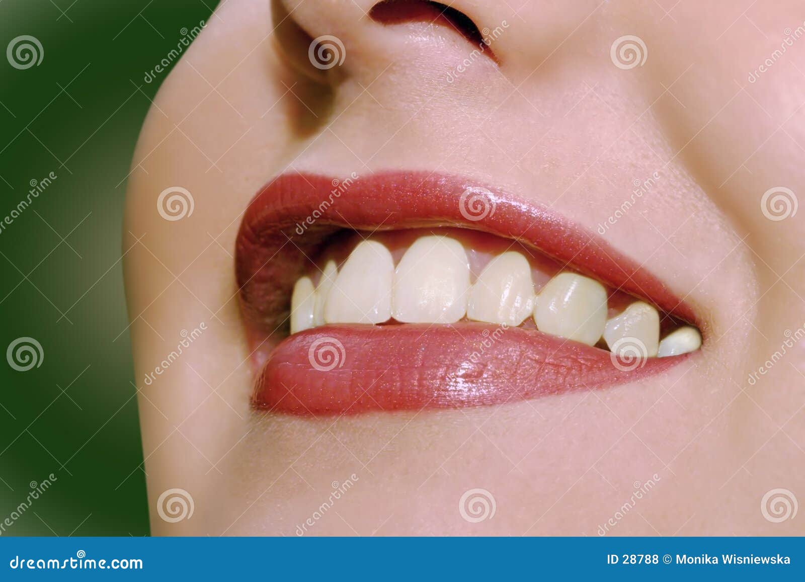 Lips - so Happy! stock photo. Image of healthy, lips, care - 28788