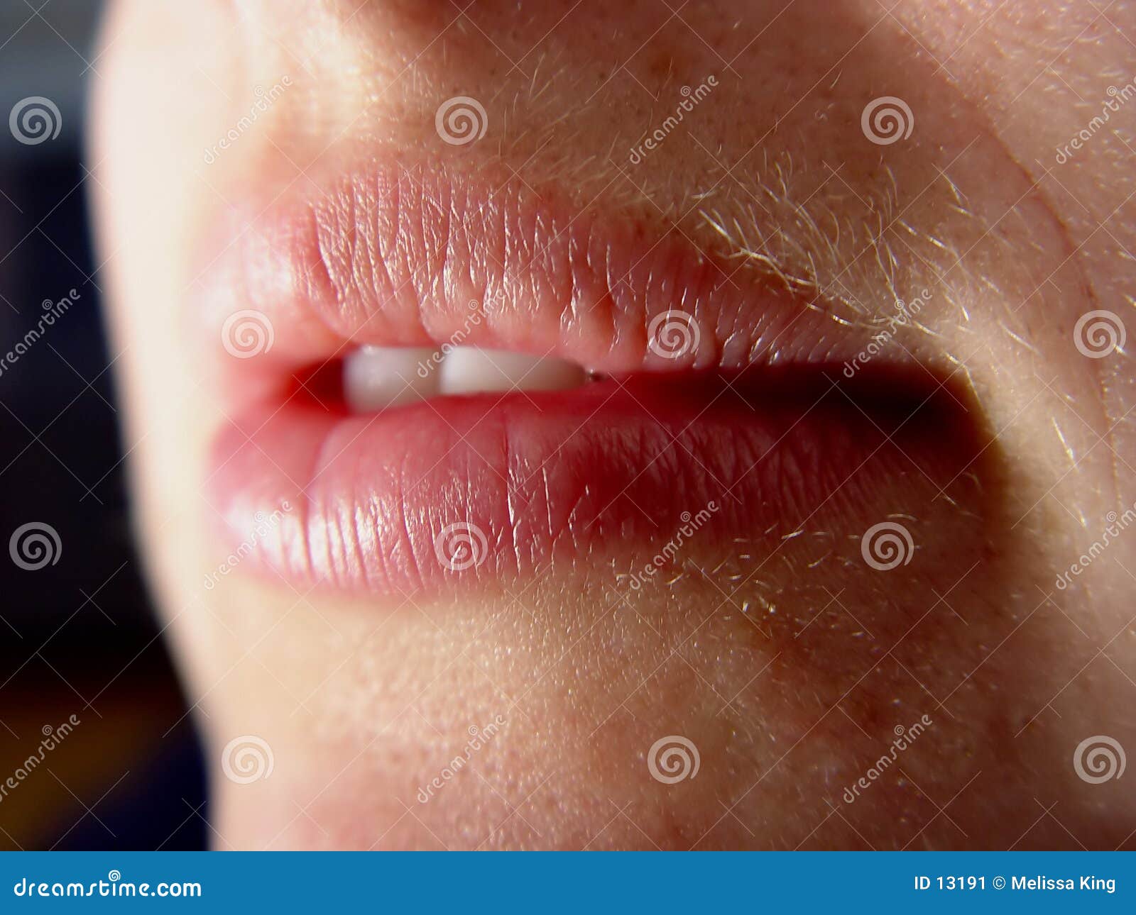 Lips of a Lady stock image. Image of woman, teeth, girl - 13191