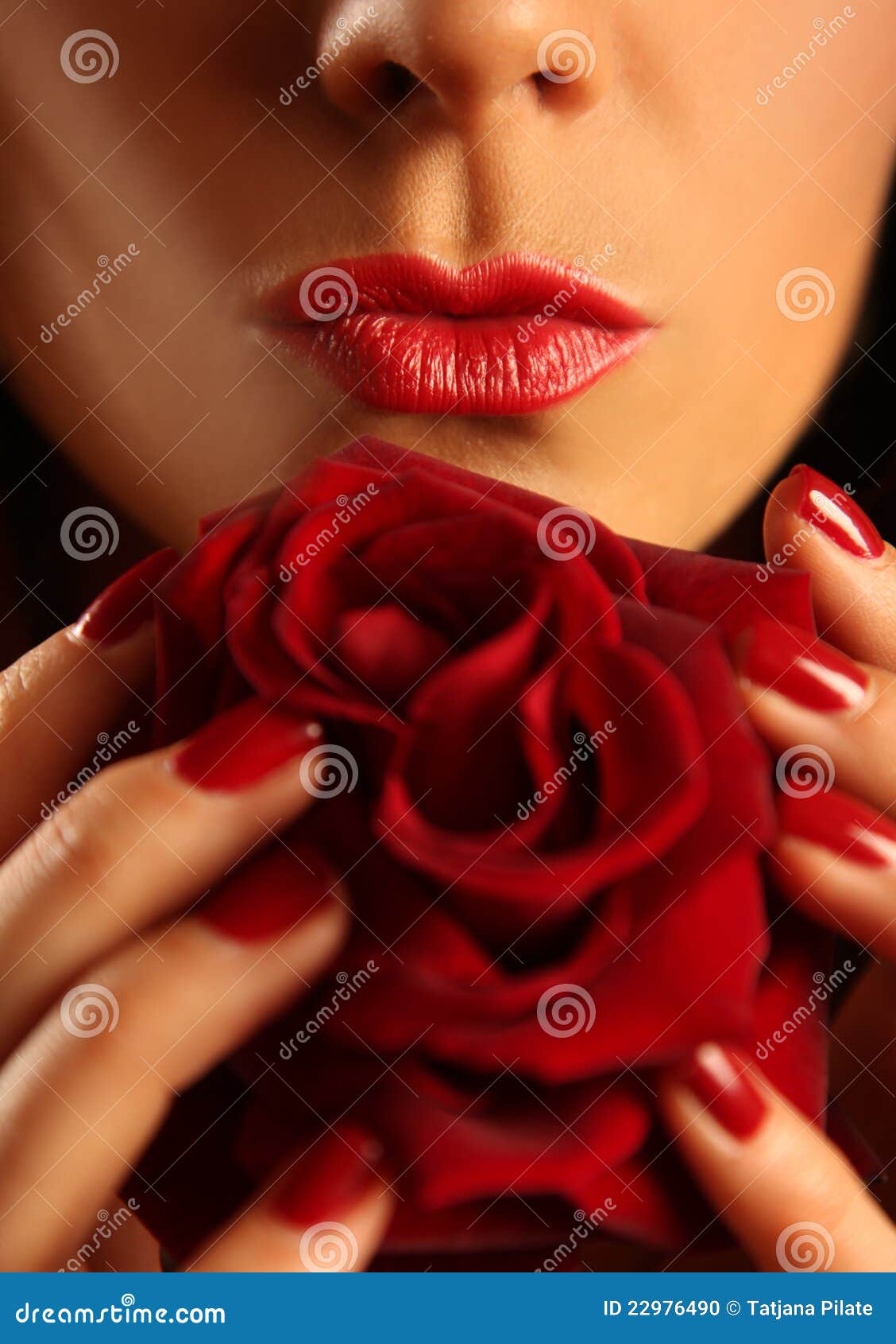 Lips and rose stock photo. Image of gorgeous, girl, valentine - 22976490