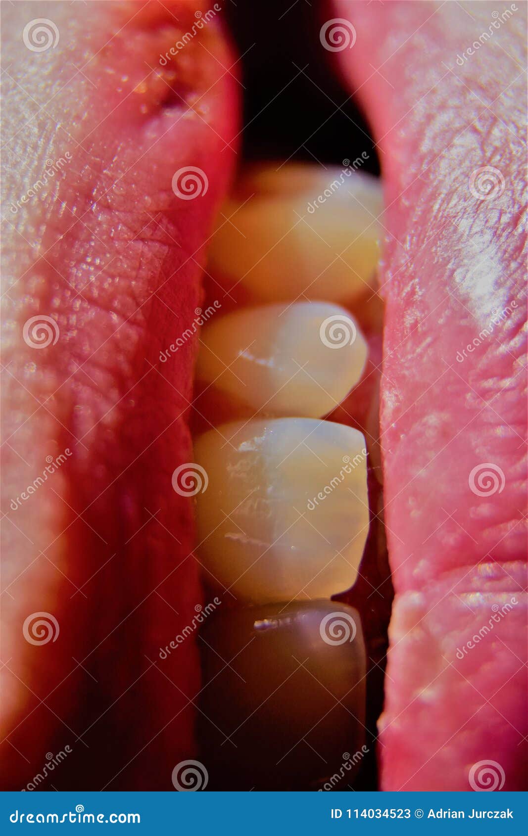 Lips with Visible Teeth of a Woman Stock Image - Image of helathly ...