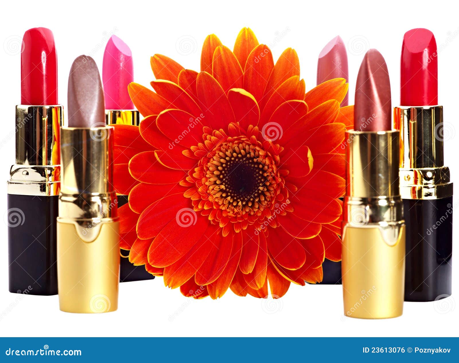 Lipstick Group. Decorative Cosmetics. Stock Photo - Image of makeup ...