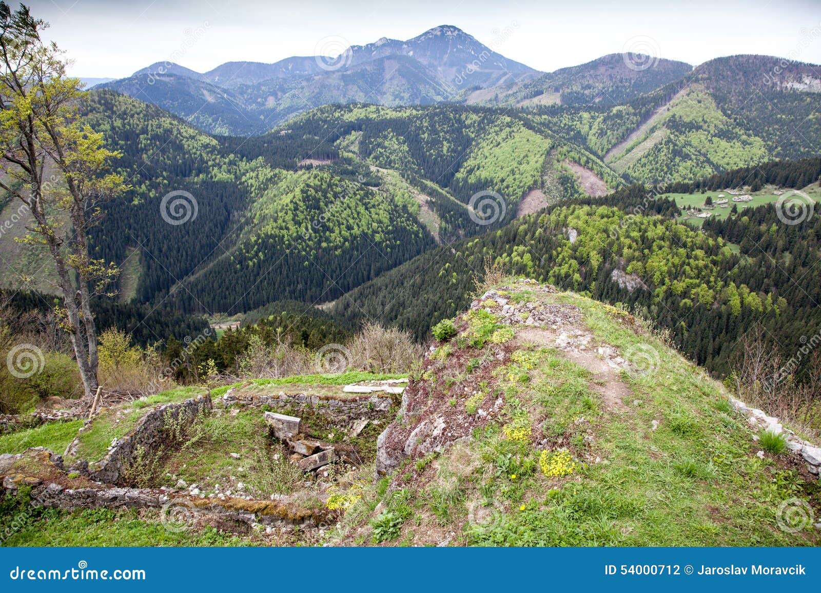 Liptovsky castle, Slovakia stock photo. Image of kalameny - 54000712