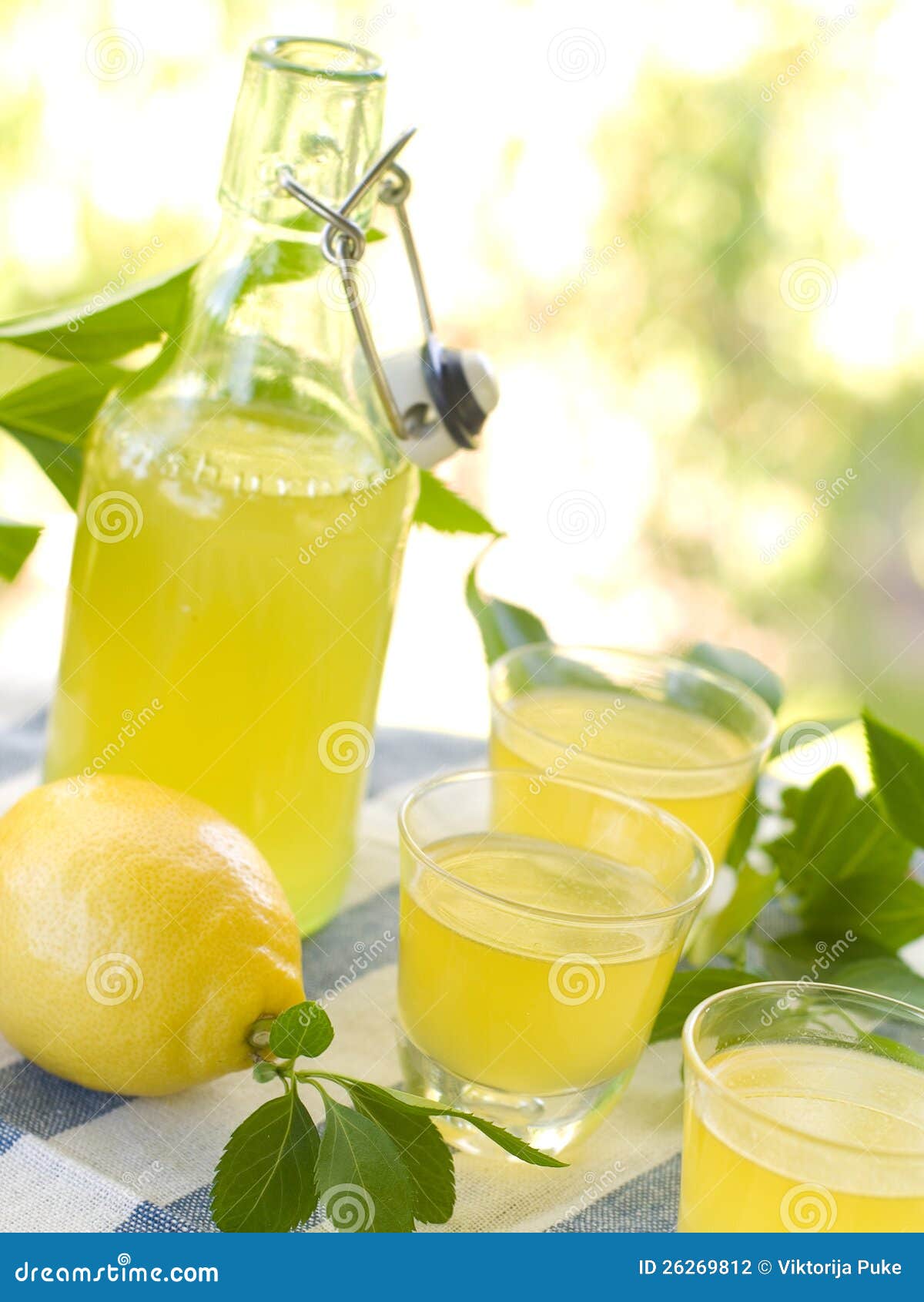 Liqour De Citron (limoncello) Photo stock - Image du rouge, baie: 26269812