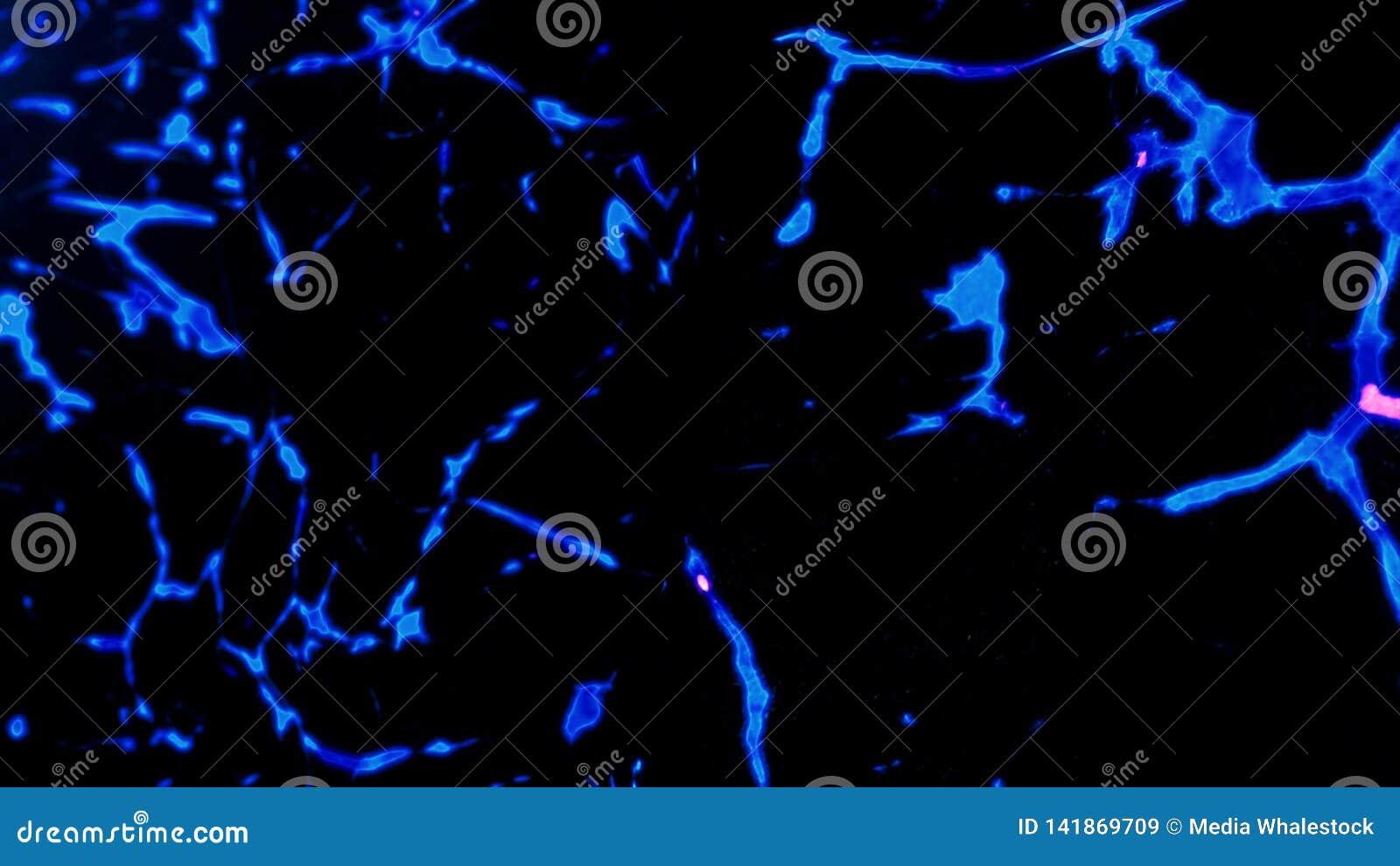 Liquid Blue Substance with Cracks on Surface, Top View, Seamless Loop ...