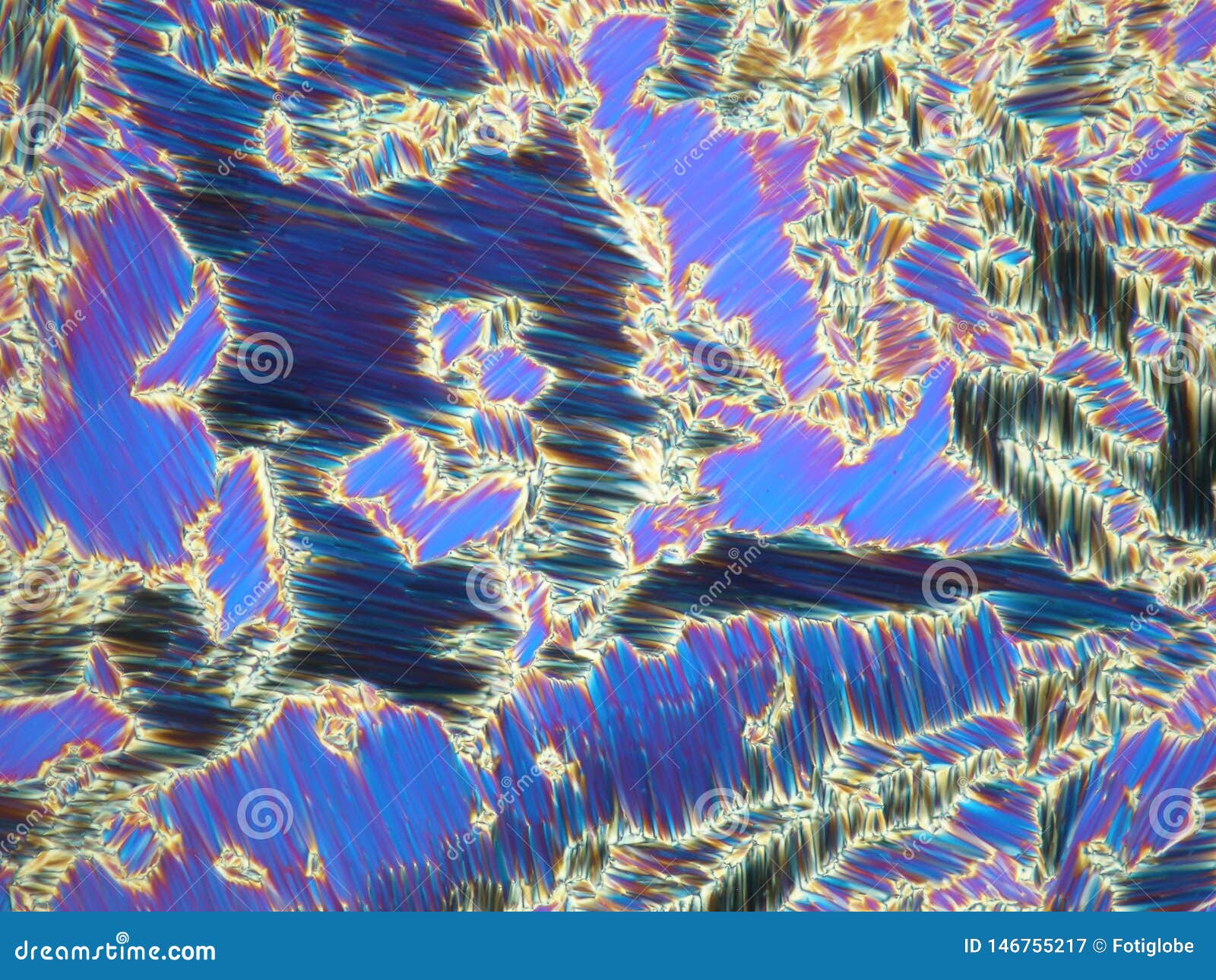 Liquid Crystal Under Polarized Light Microscope Stock Image - Image of ...