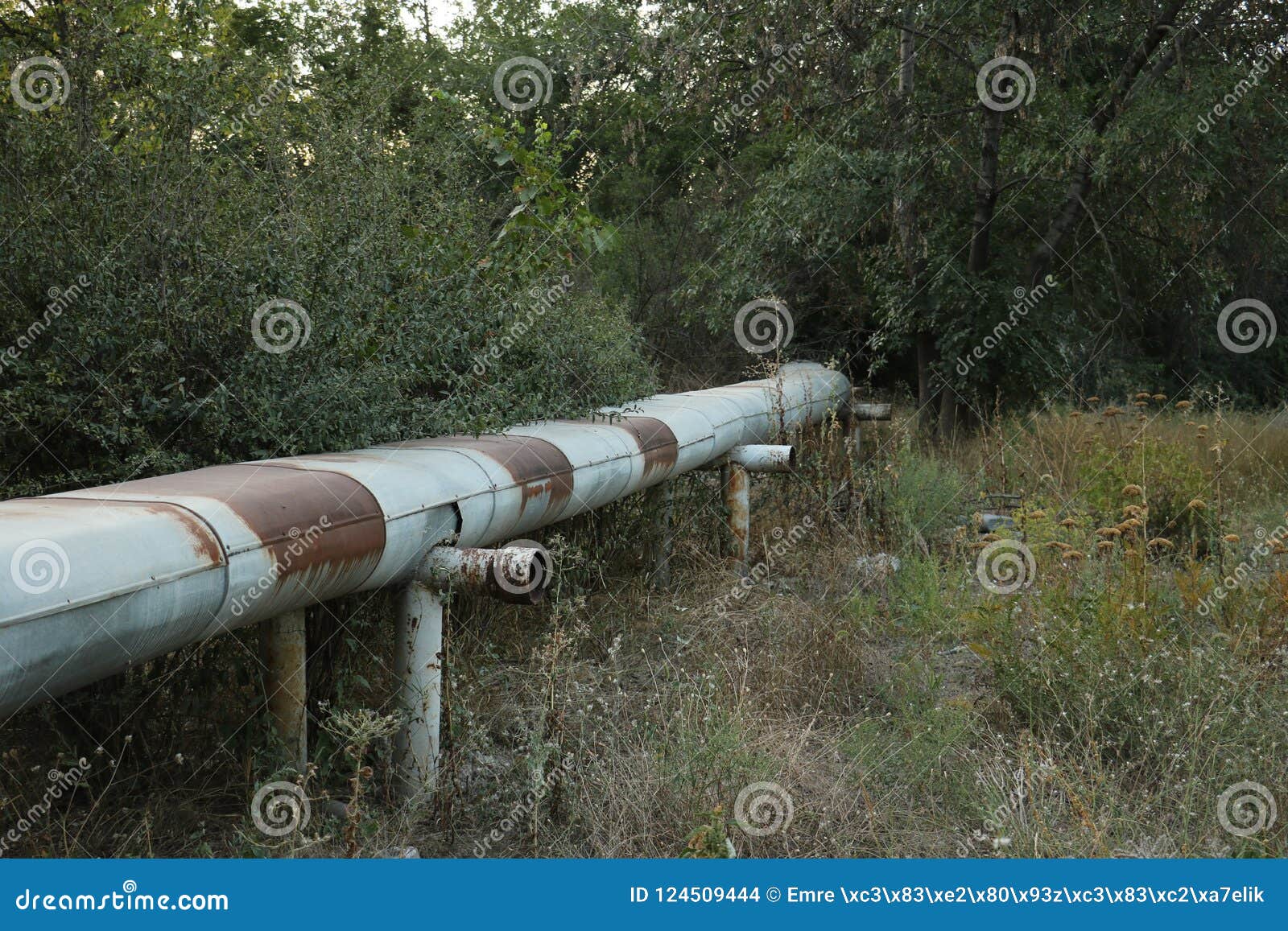 Liquid or Gas Transportation in Pipe-line Stock Photo - Image of ...
