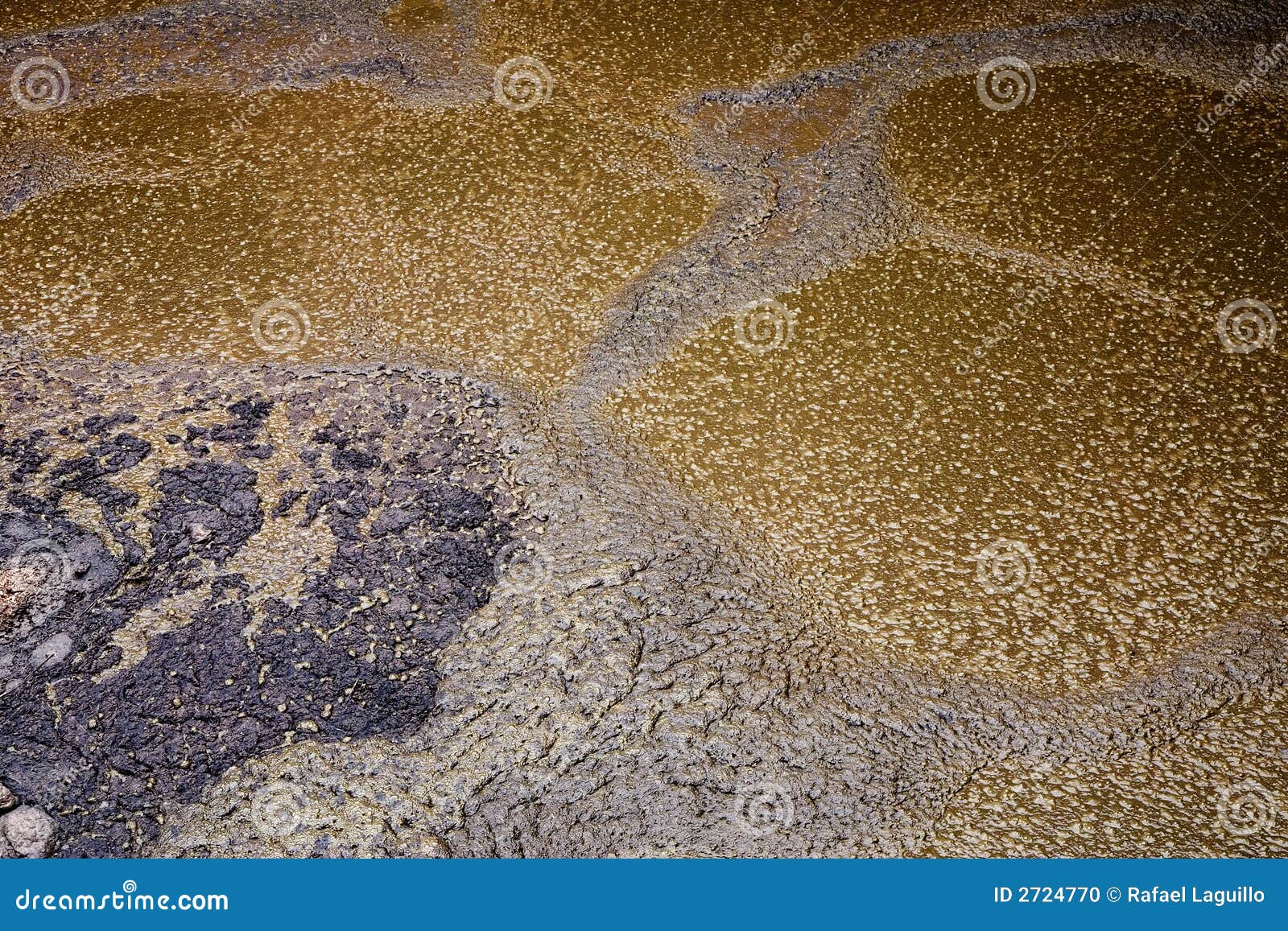 Liquid manure stock photo. Image of farming, close, dung - 2724770