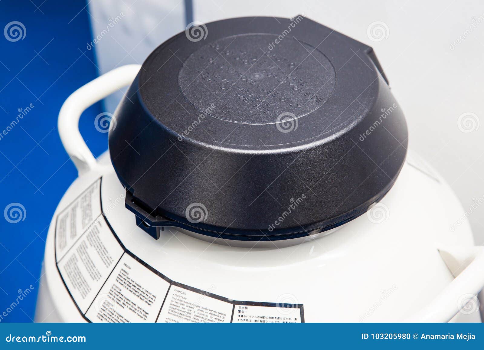 Liquid Nitrogen Cryogenic Tank at Laboratory Stock Photo - Image of ...