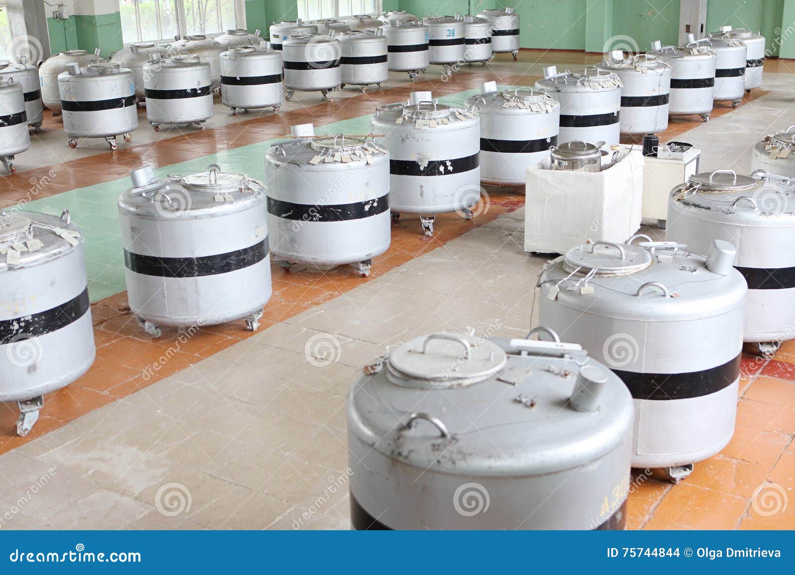 Liquid nitrogen laboratory stock photo. Image of compartment - 75744844