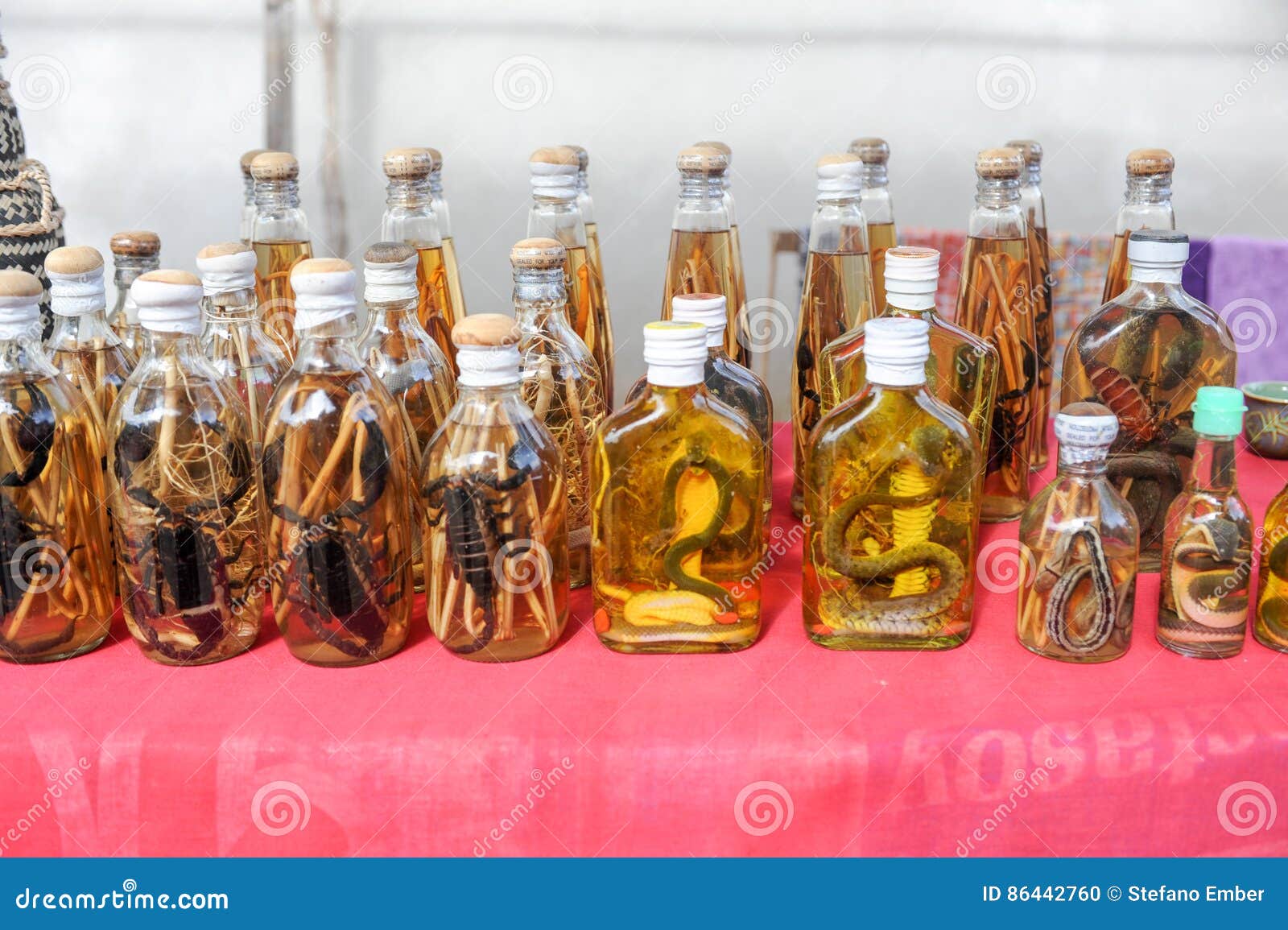 Liquor with Snake and Scorpion Inside Editorial Image - Image of bottle ...