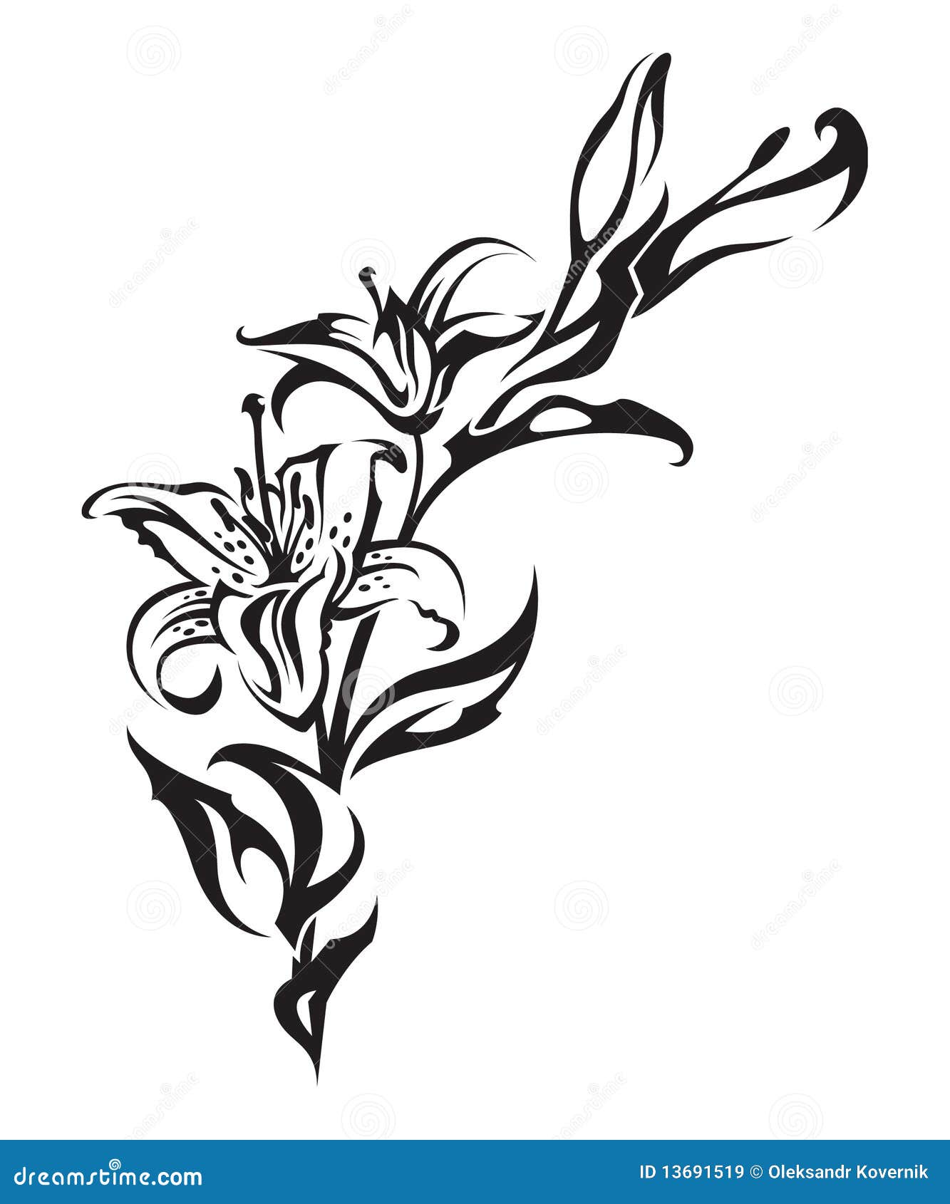 Lirio ilustración del vector. Ilustración de hermoso - 13691519