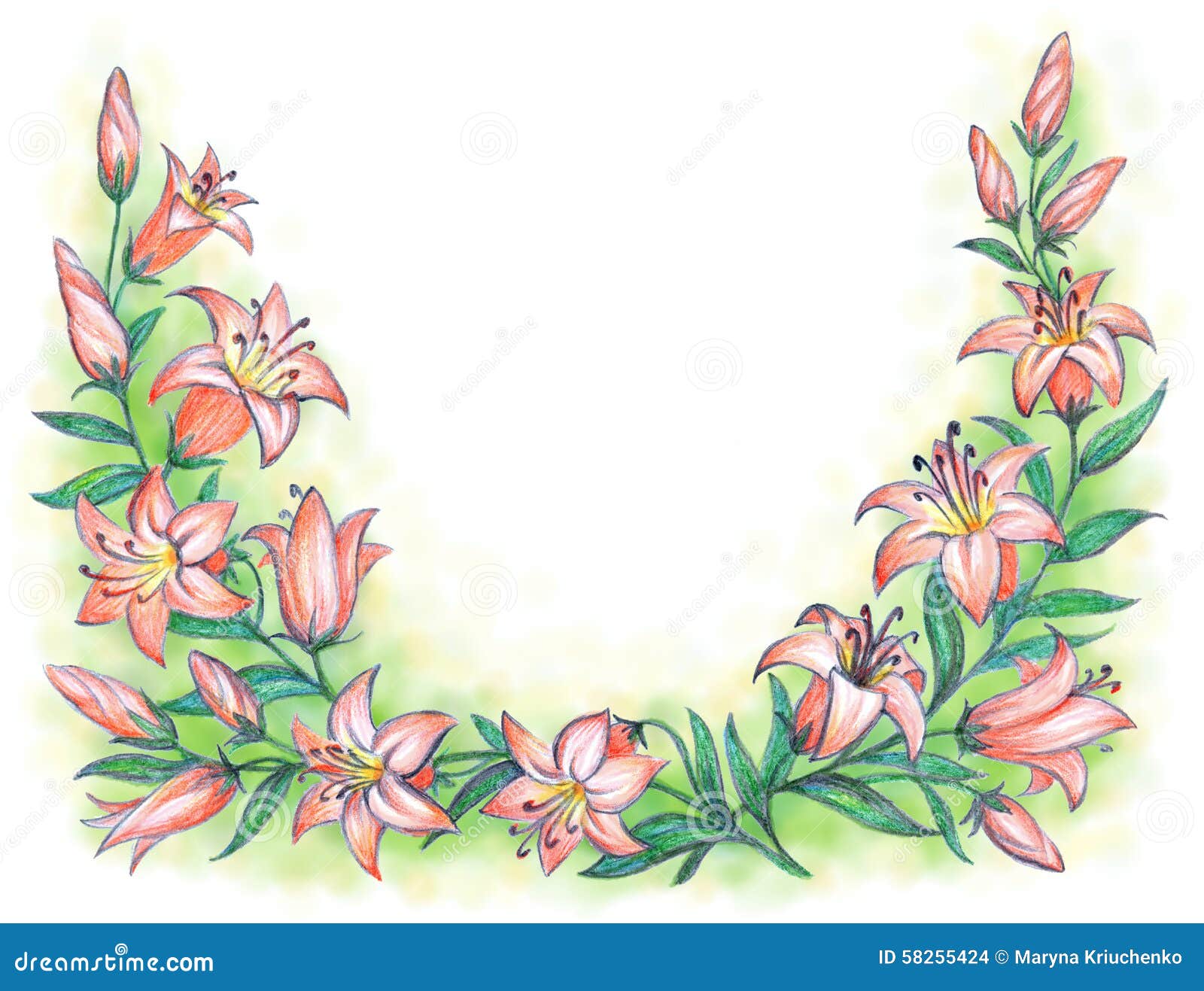 Lis Rose Sensible Dessin Au Crayon Illustration Stock - Illustration du ...