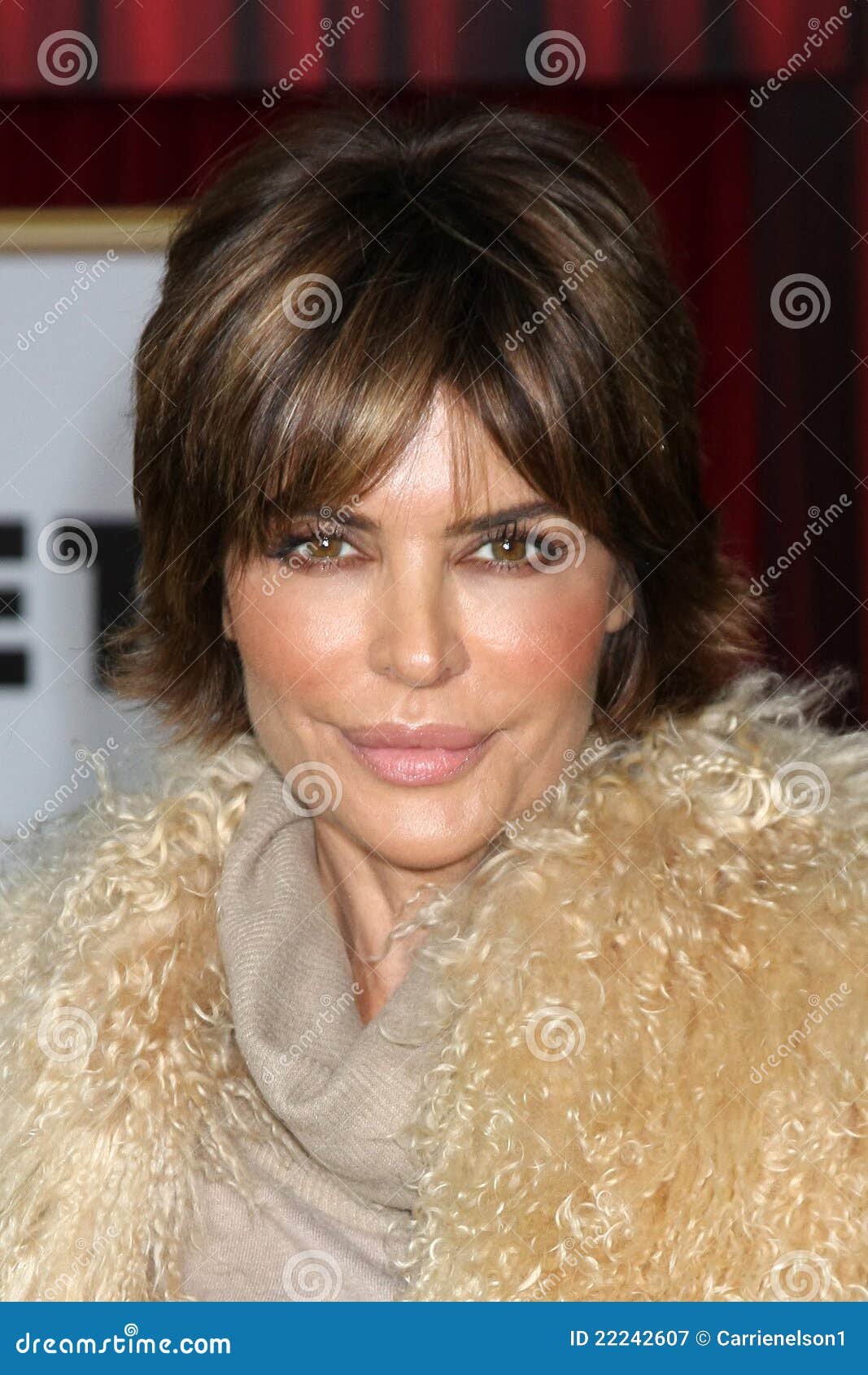 Lisa Rinna, the Muppets editorial photography. Image of world - 22242607