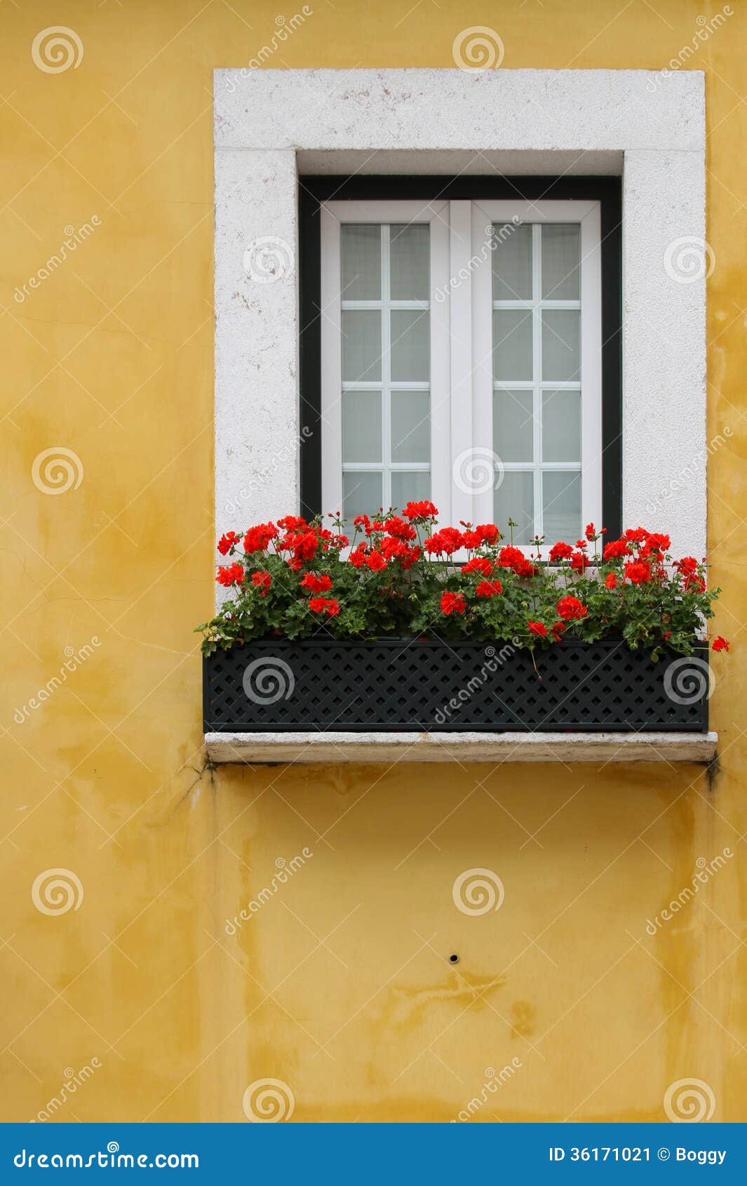 Lisbon window stock image. Image of traditional, windows - 36171021