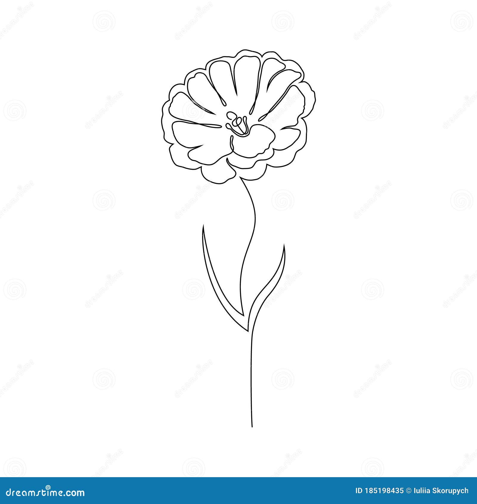 Lisianthus Flower Drawing And Sketch. Vector Illustration ...