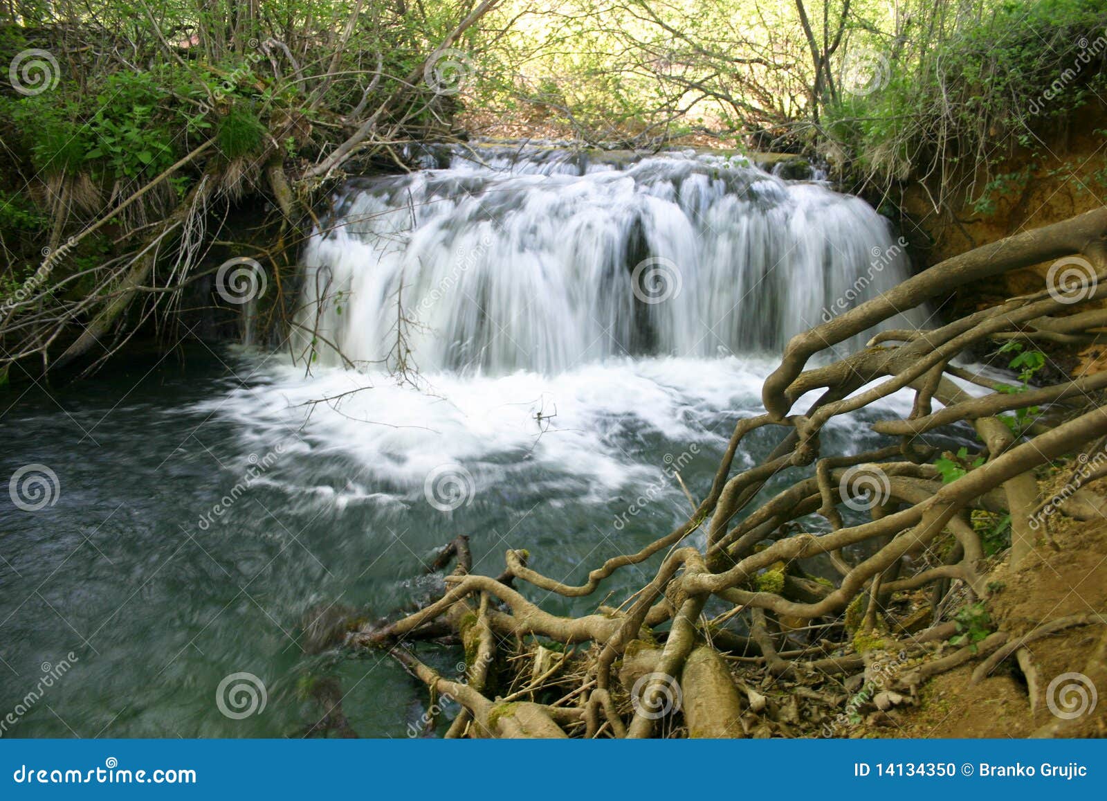 Lisine Serbian nature stock photo. Image of despotovac - 14134350