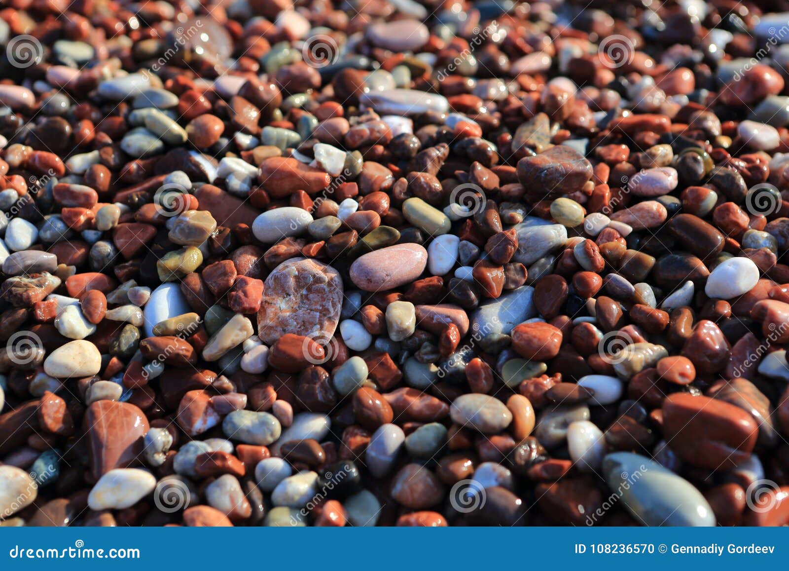 Liso Molhe Pedras Multi-coloridas Do Mar Foto de Stock - Imagem de ...