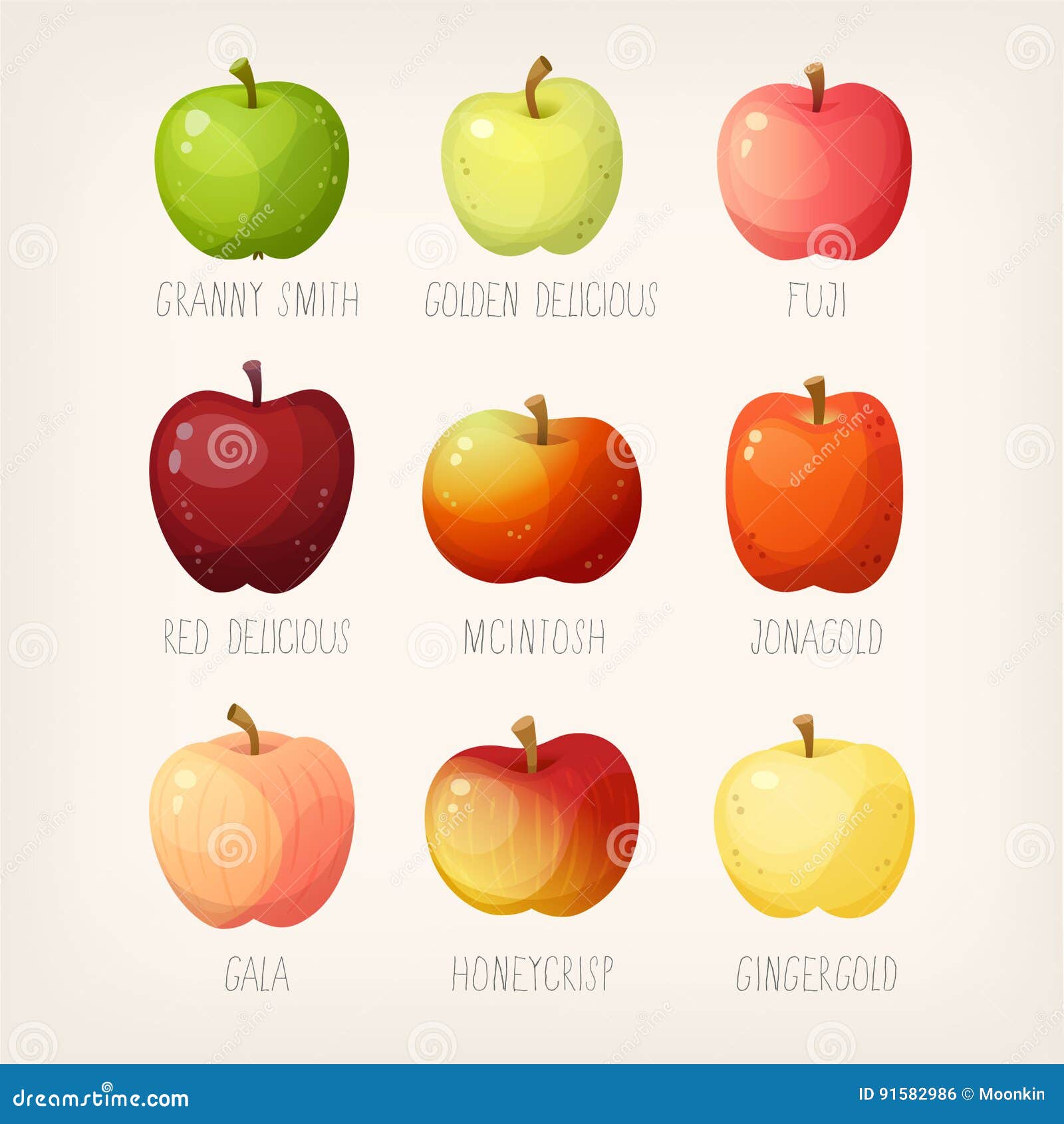 Lista delle mele illustrazione vettoriale. Illustrazione di mela - 91582986