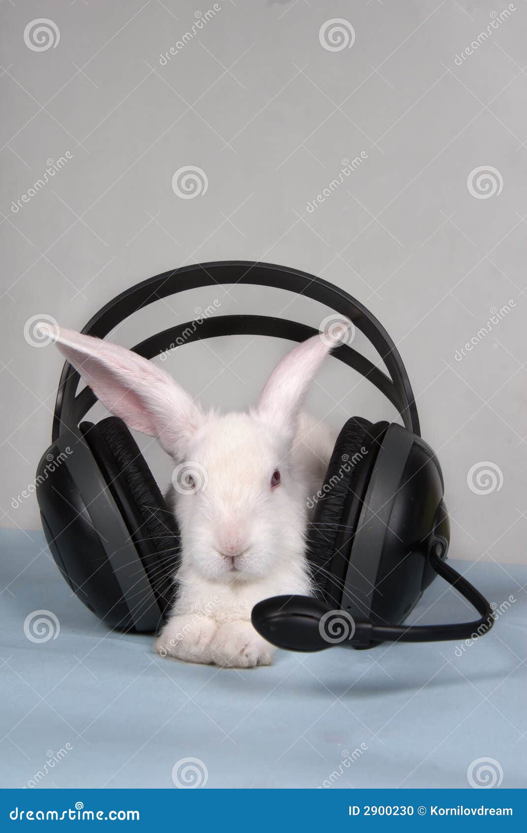 Listen to me stock photo. Image of headphones, baby, proclamation - 2900230