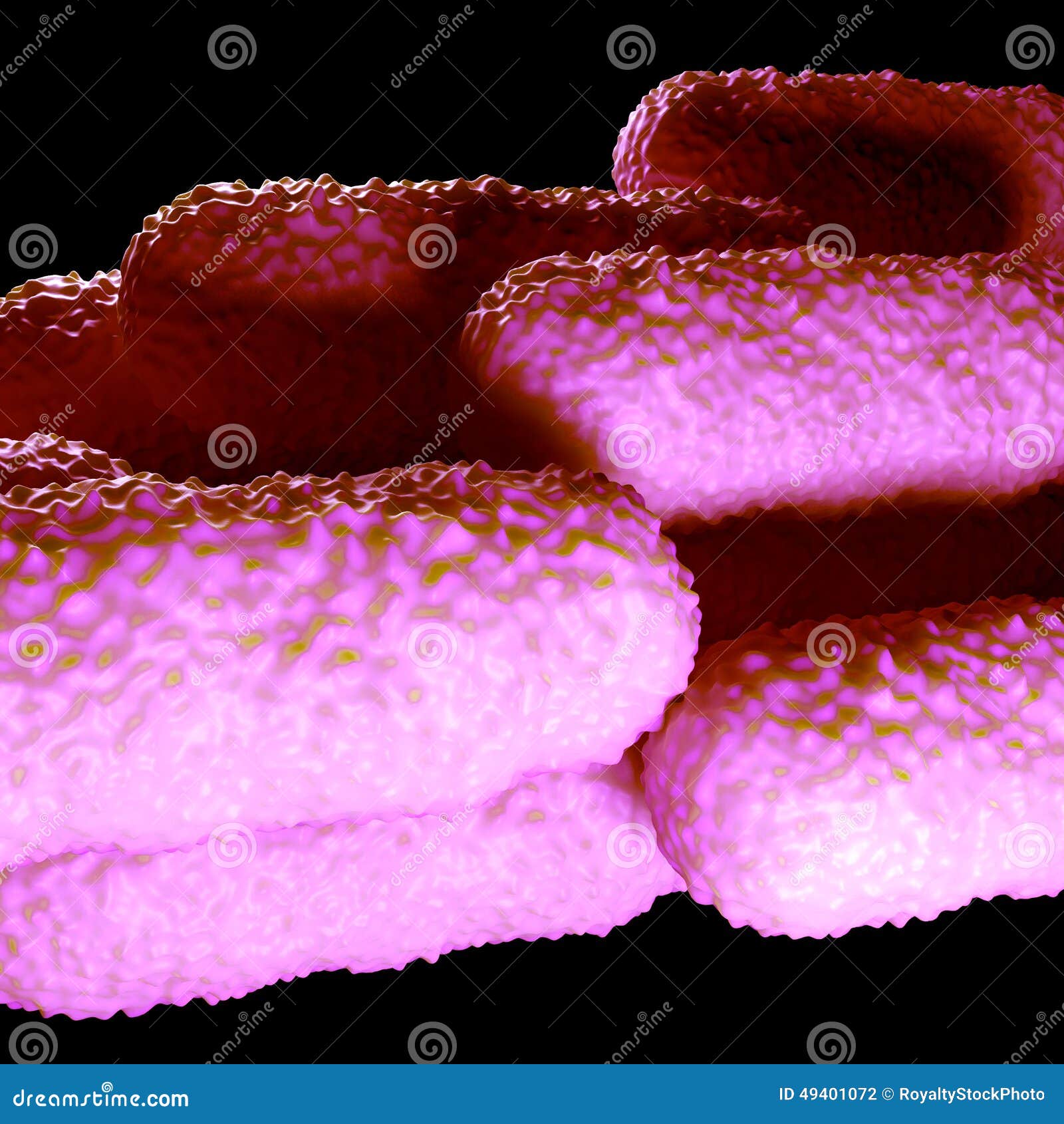 Listeria Bacteria, artwork stock illustration. Illustration of group ...