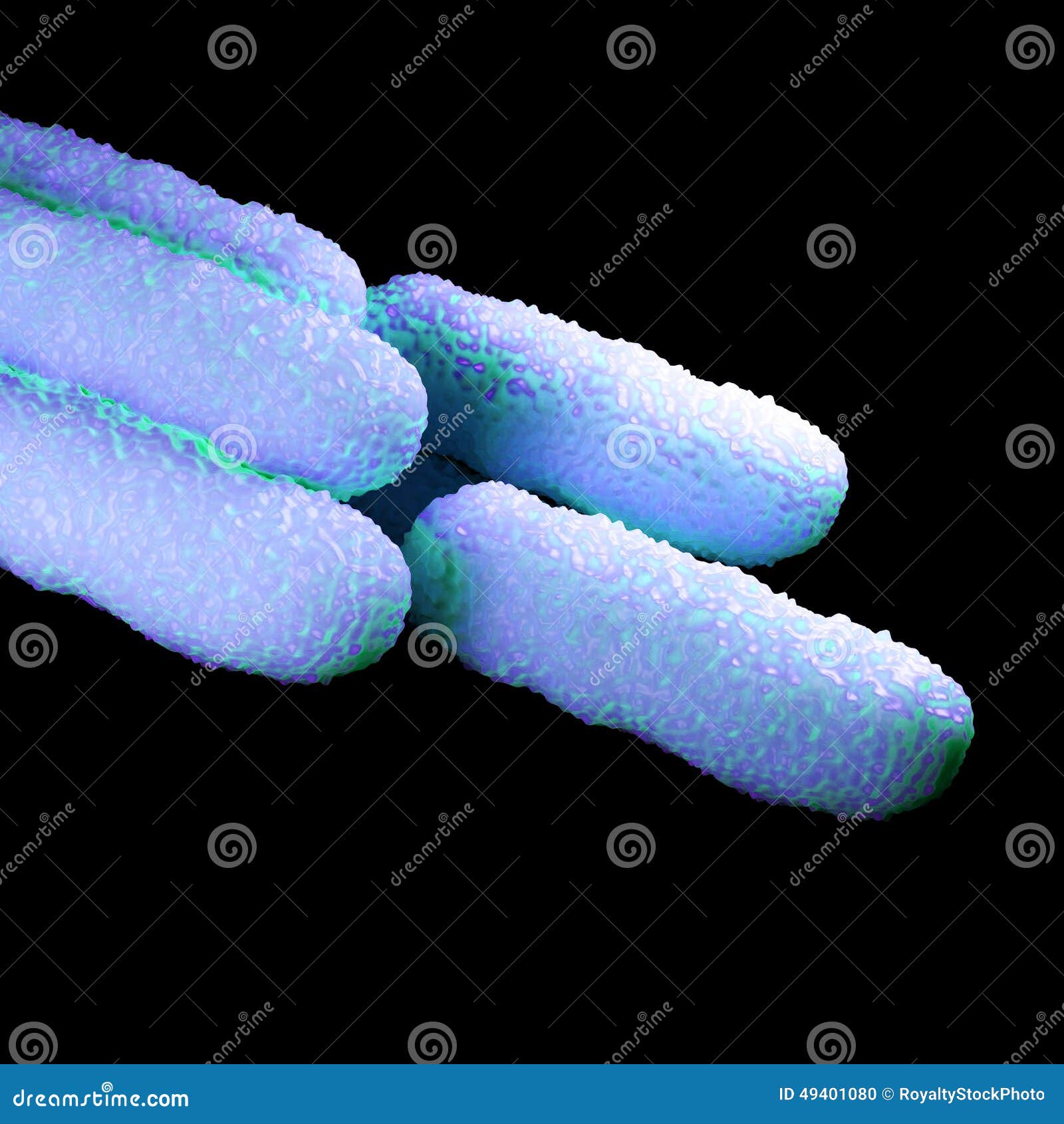 Listeria Bacteria, artwork stock illustration. Illustration of ...