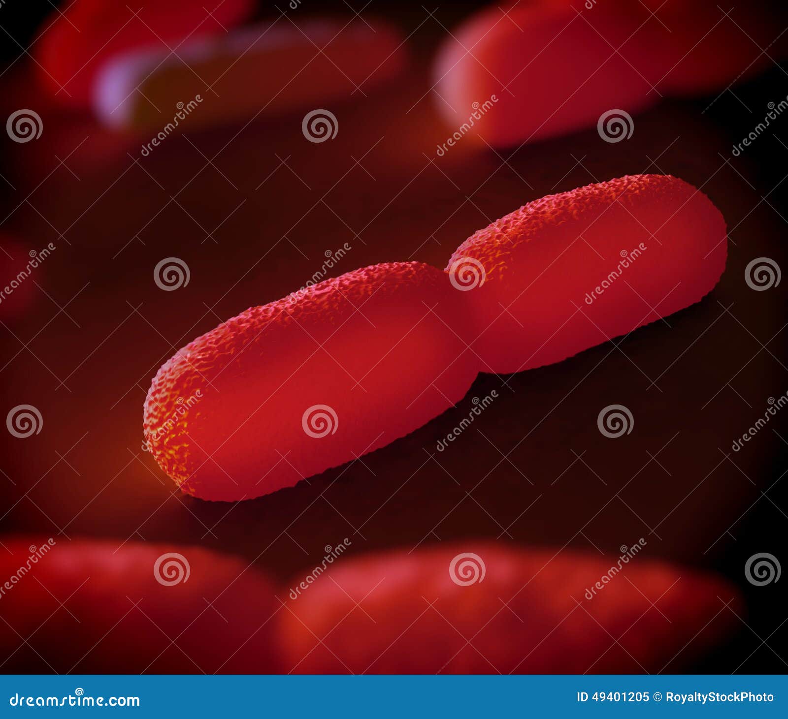 Listeria Bacteria, artwork stock illustration. Illustration of ...