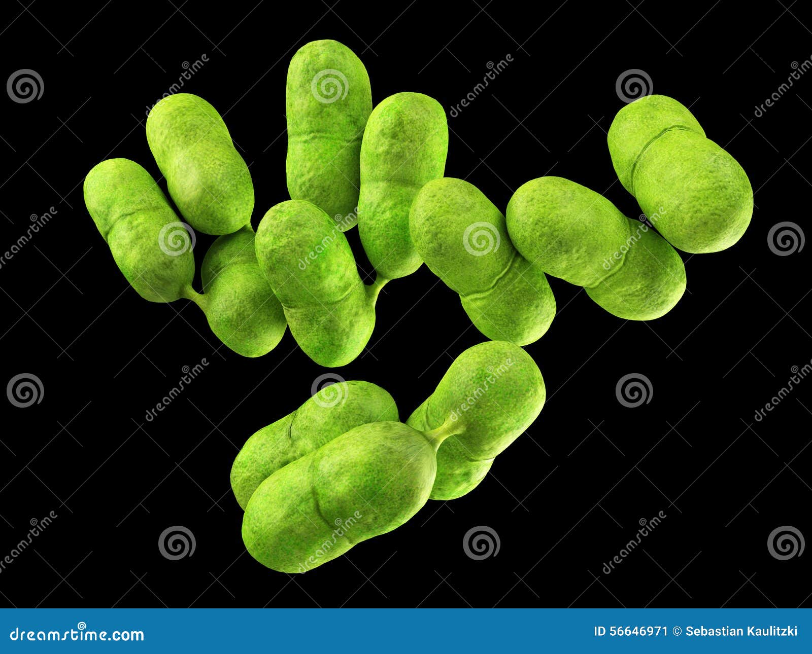 The listeria stock illustration. Illustration of bacteria - 56646971