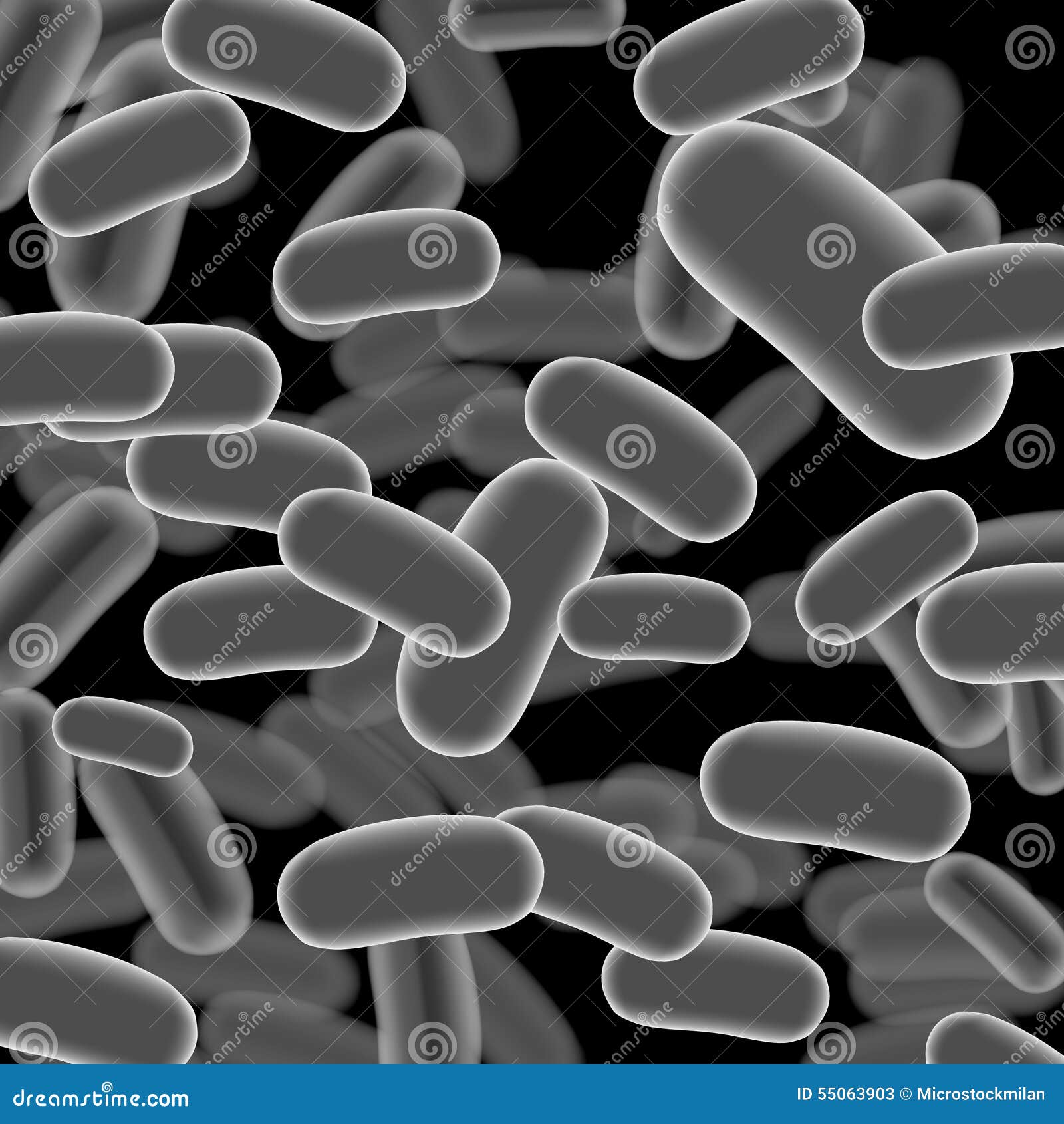 Listeria Vector Illustration. Labeled Educational Foodborne Bacteria ...
