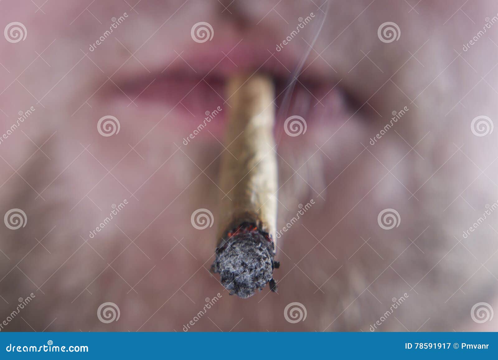 Lit Joint of Marijuana stock image. Image of marley, illegal - 78591917