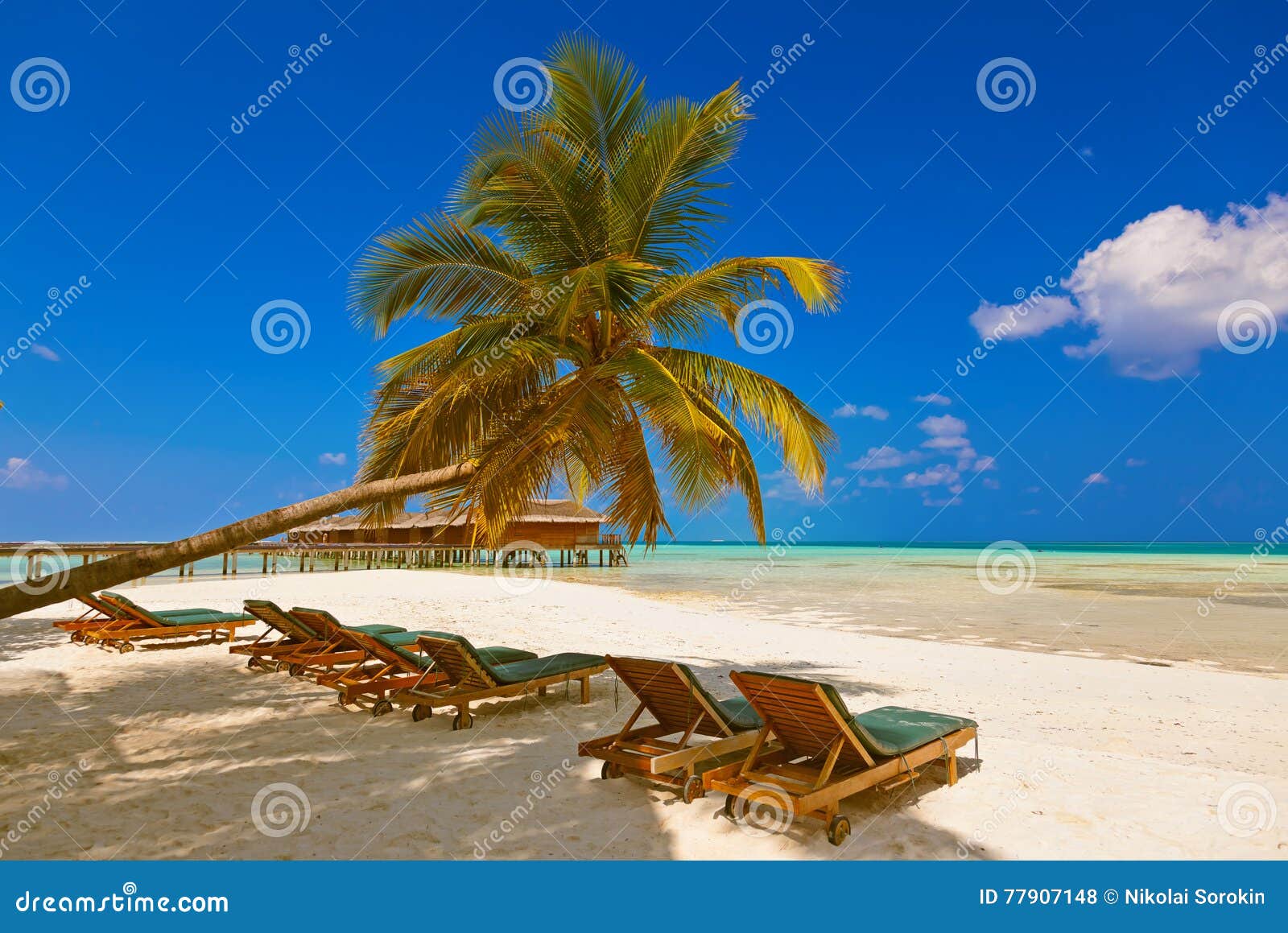 Lit Pliant Sur La Plage Des Maldives Photo stock - Image of voyage ...
