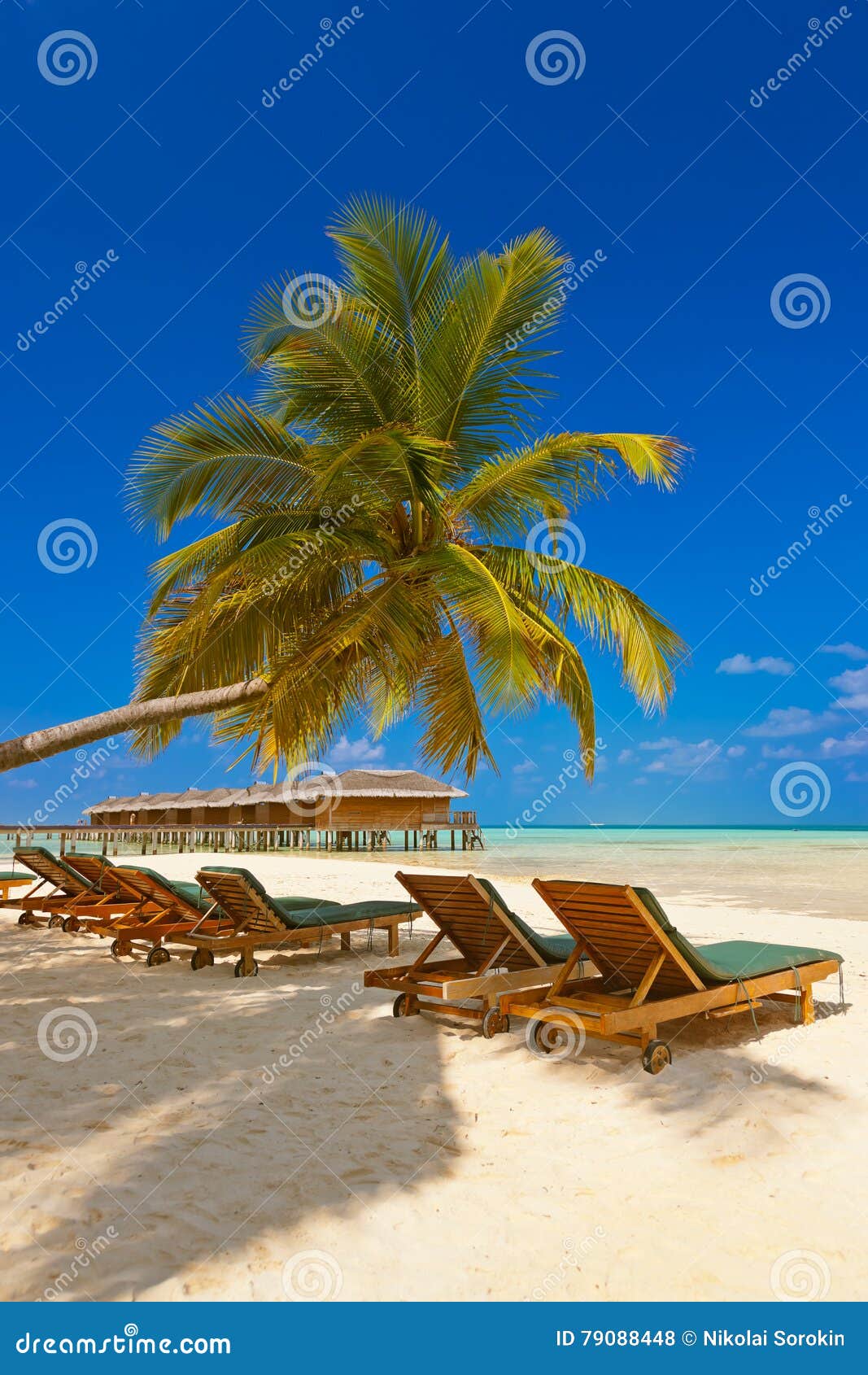 Lit Pliant Sur La Plage Des Maldives Photo stock - Image du beauté ...