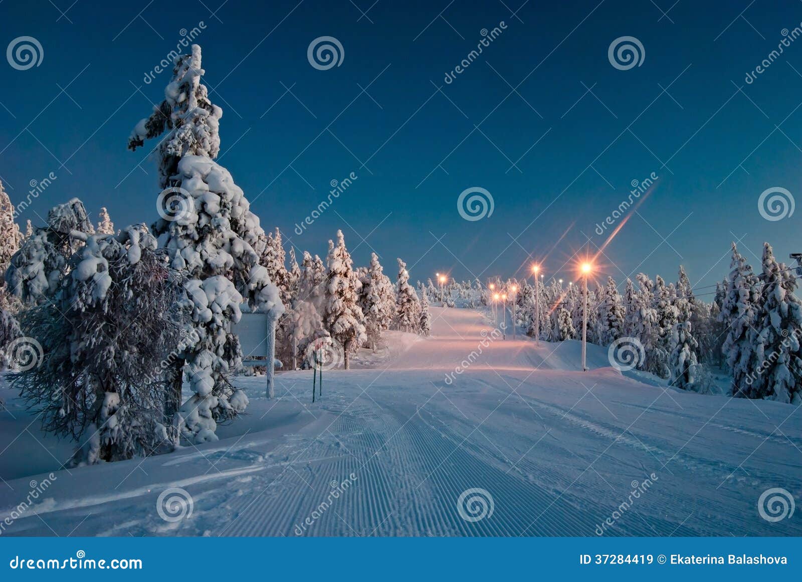 Lit road in the woods stock image. Image of cold, night - 37284419