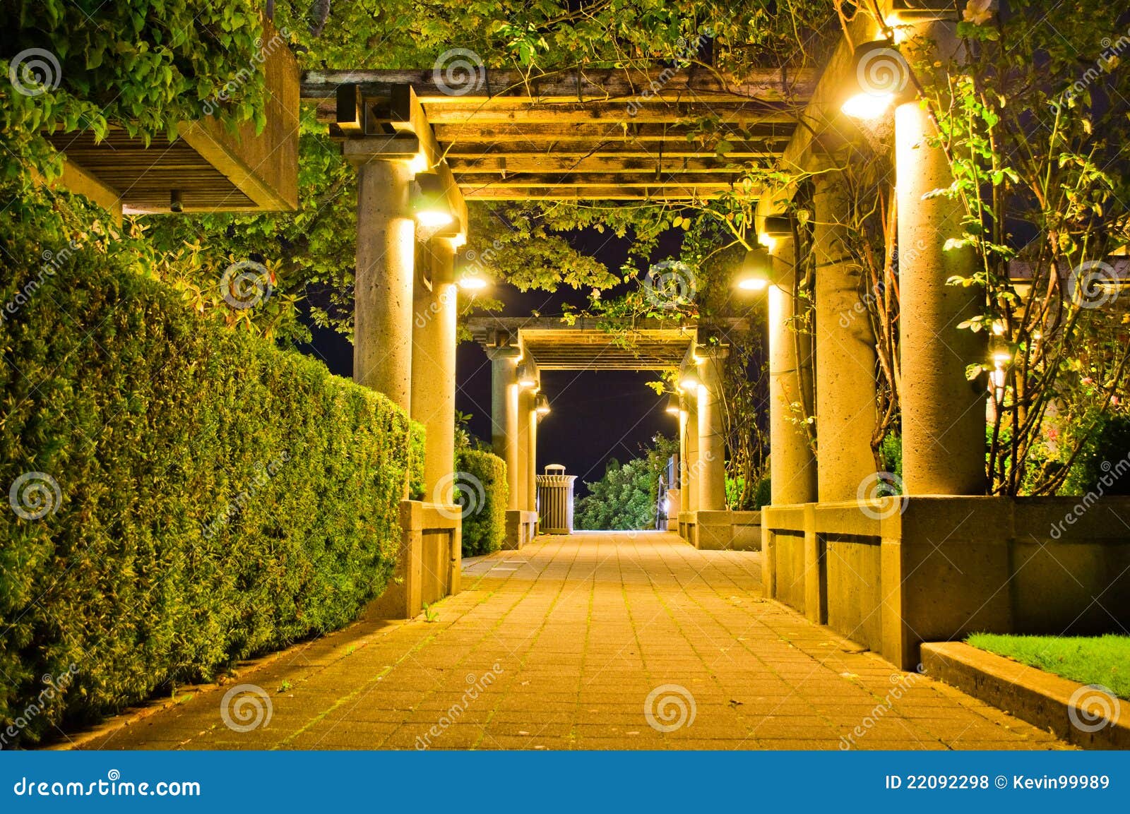 Lit walkway at night stock photo. Image of light, lights - 22092298