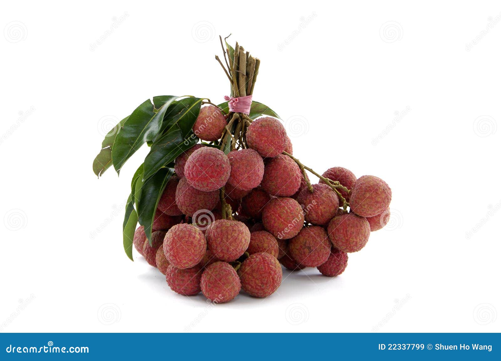 Litchee fruit stock image. Image of exotic, litchi, oriental - 22337799