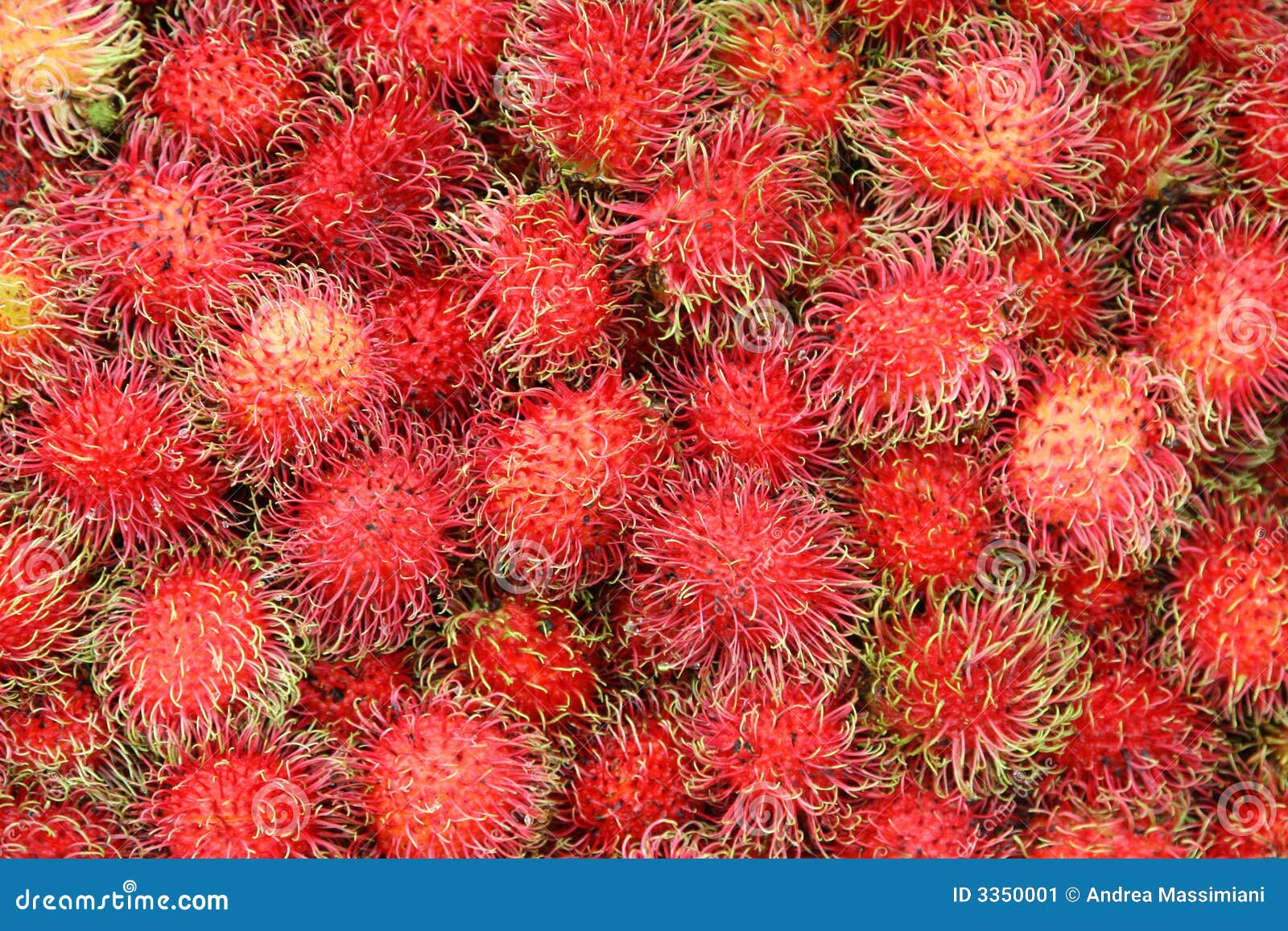 Litchee (Lynchee) texture stock image. Image of fruit - 3350001