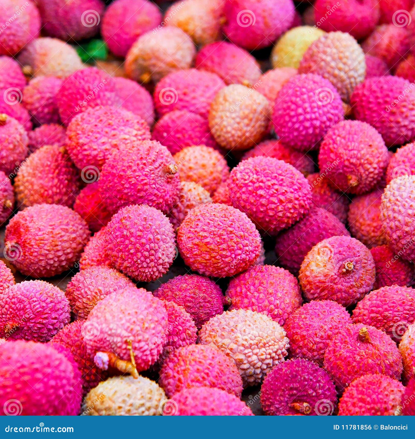 Litchi stock photo. Image of asian, sweet, edible, traditional - 11781856