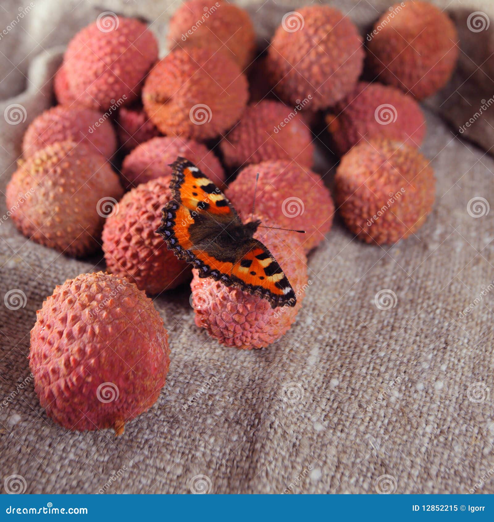 Litchi stock image. Image of subtropical, pile, healthy - 12852215