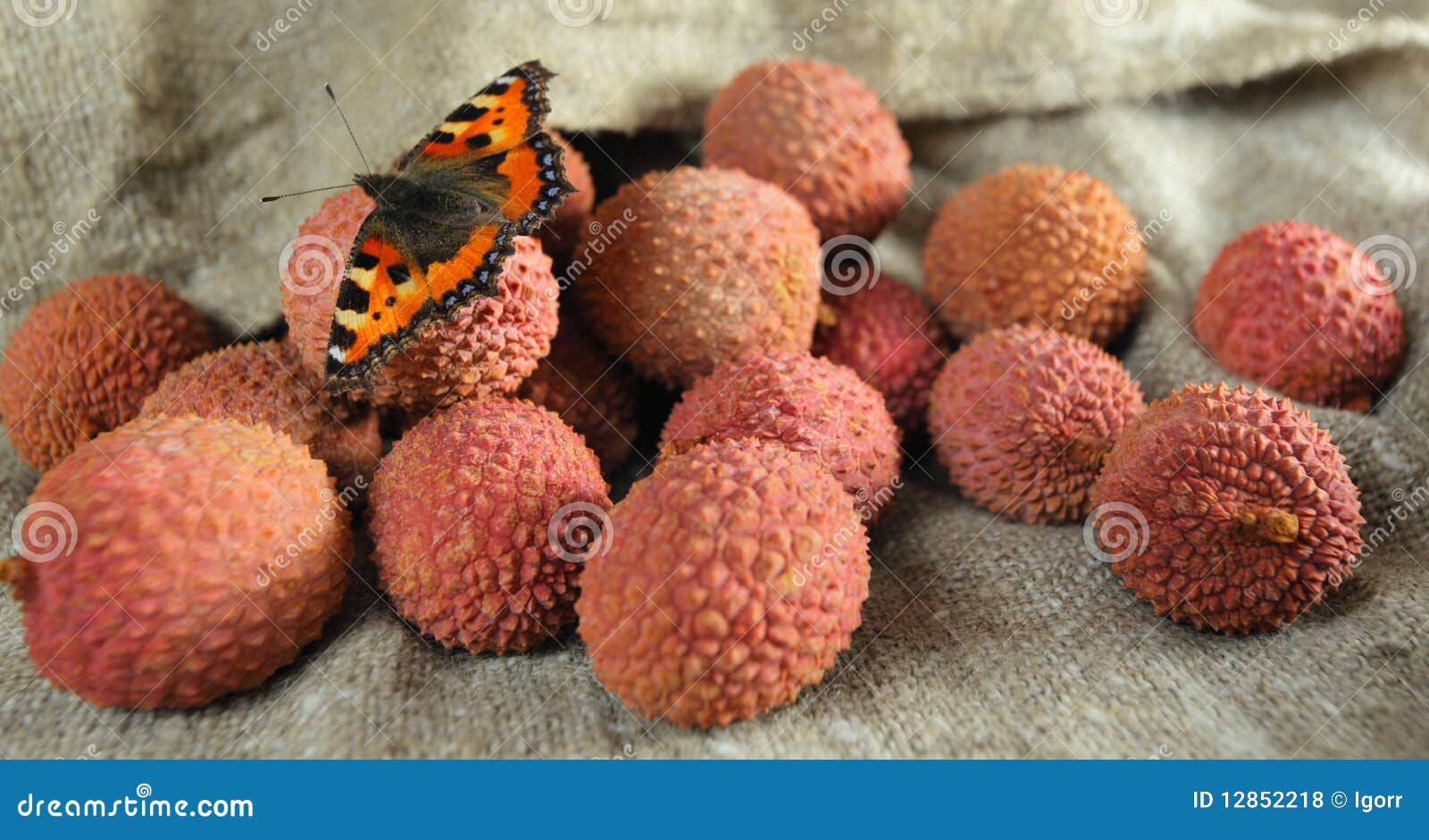 Litchi stock photo. Image of eating, pile, tasty, insect - 12852218
