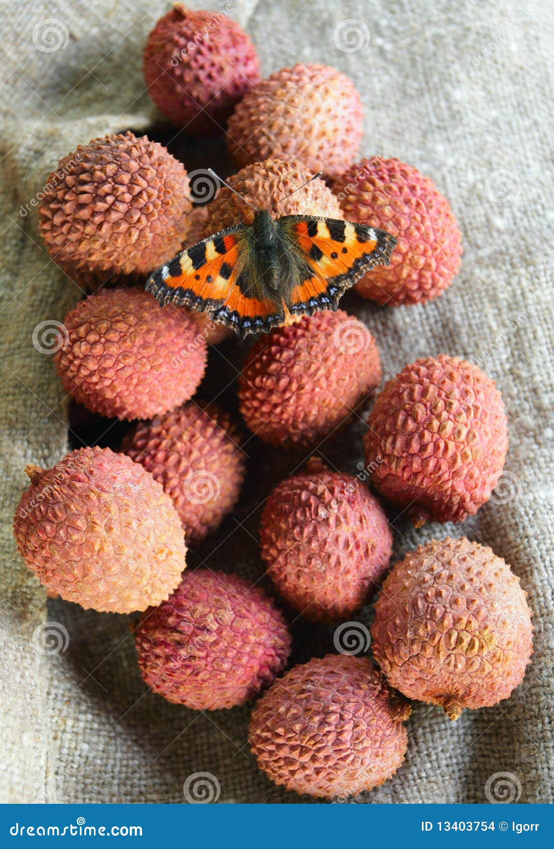 Litchi stock photo. Image of eating, fresh, insect, round - 13403754