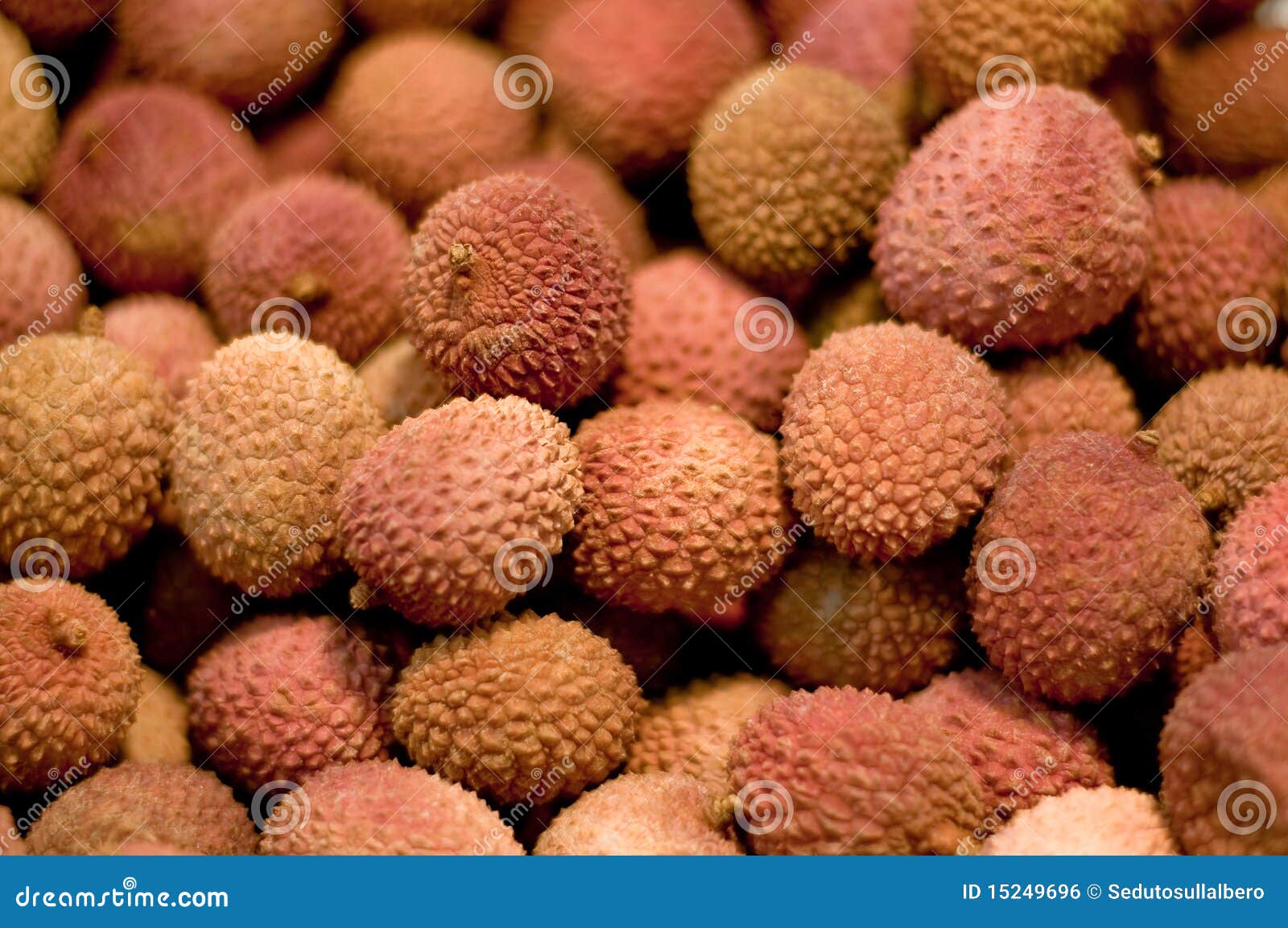 Litchi stock photo. Image of fleshy, asia, water, summer - 15249696
