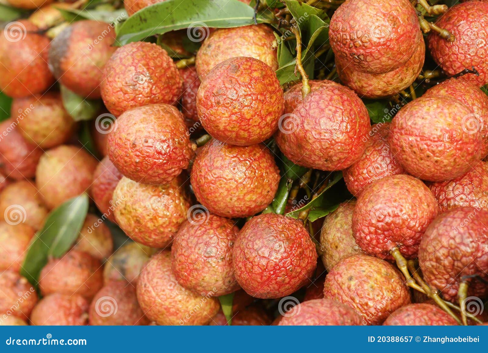 Litchi image stock. Image du délicieux, fond, nourriture - 20388657