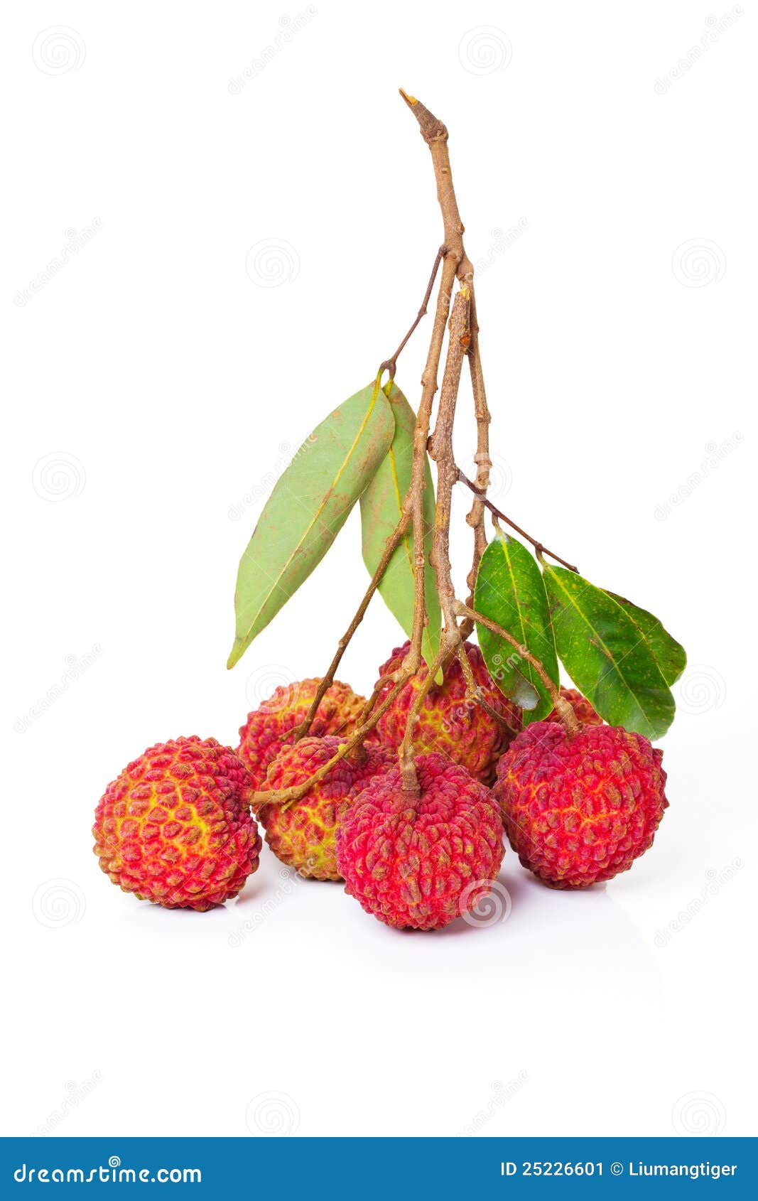 Litchi fruit stock image. Image of leaves, china, lychee - 25226601