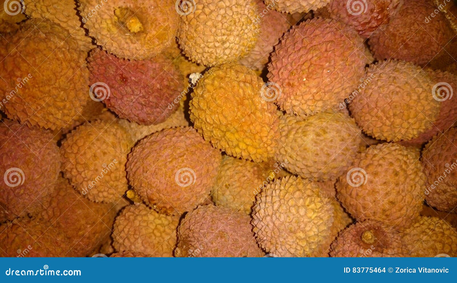 Litchi fruit stock photo. Image of fruit, litchi, orange - 83775464