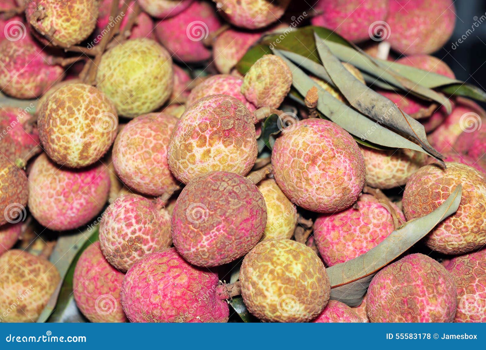 Litchi fruit stock photo. Image of fruit, berry, green - 55583178