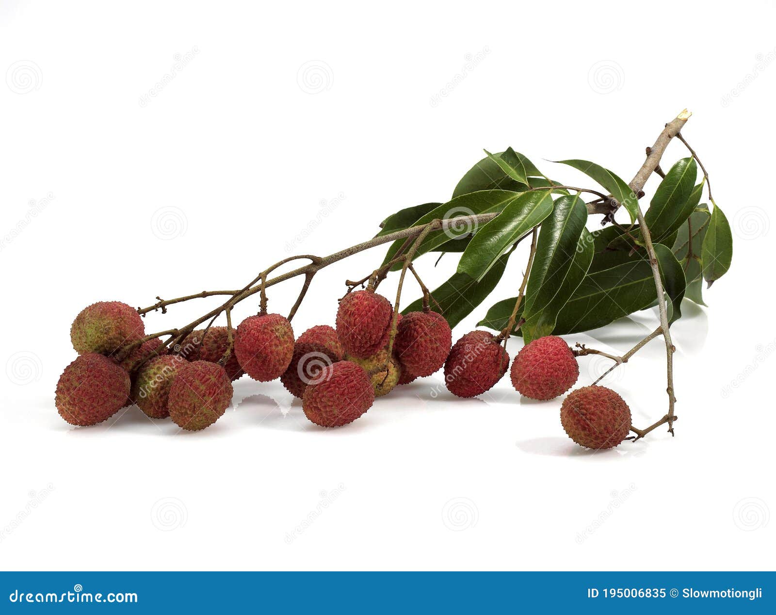 LITCHI or LITCHEE Litchi Sinensis AGAINST WHITE BACKGROUND Stock Image ...