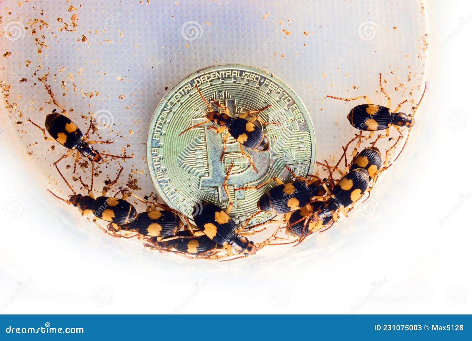 Litecoin Cryptocurrency and Virtual Poison Bugs Stock Image - Image of ...