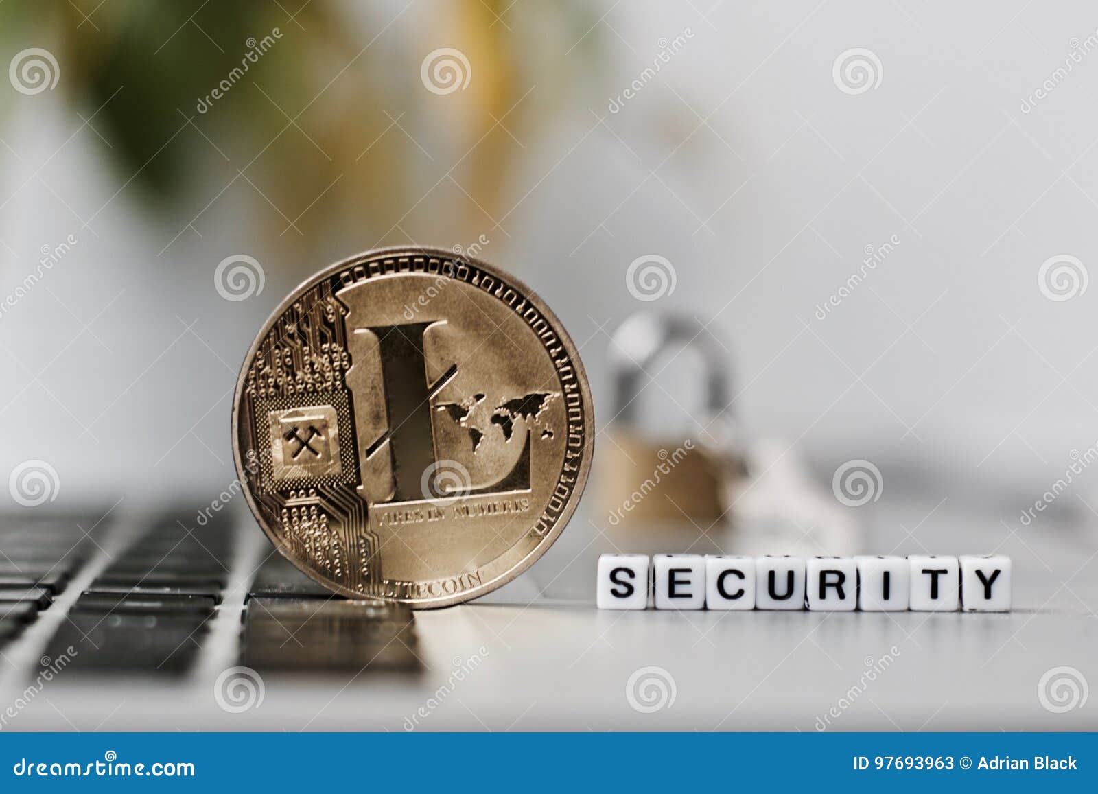 Litecoin security coin stock image. Image of trust, bank - 97693963