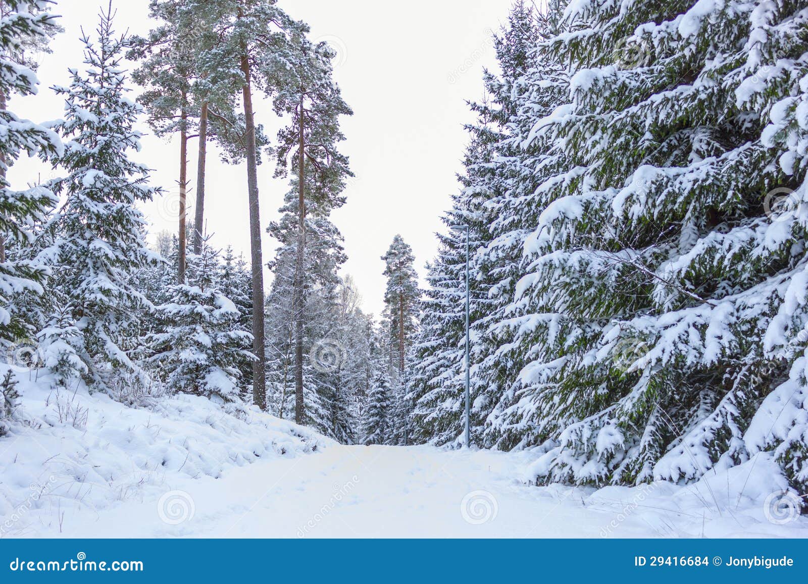 Liten Landsväg I Vinter - Sverige Arkivfoto - Bild av miljö, härlig ...