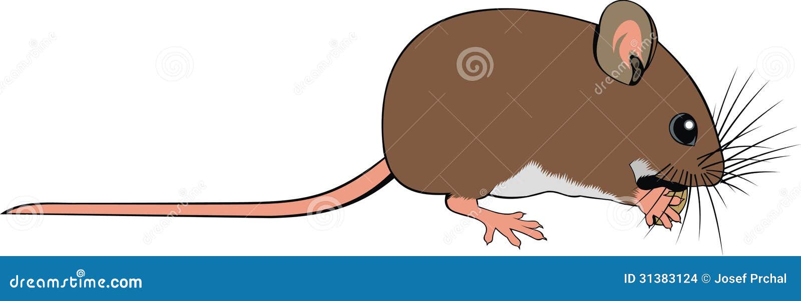 Liten mus vektor illustrationer. Illustration av stängning - 31383124